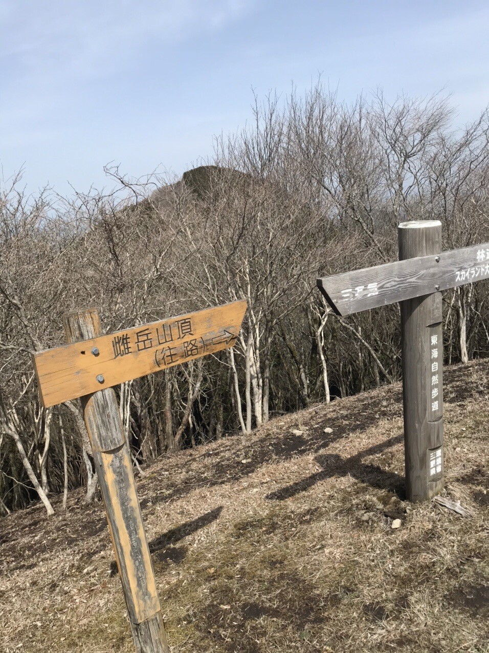 oniさんの投稿したフィールドメモ | YAMAP / ヤマップ