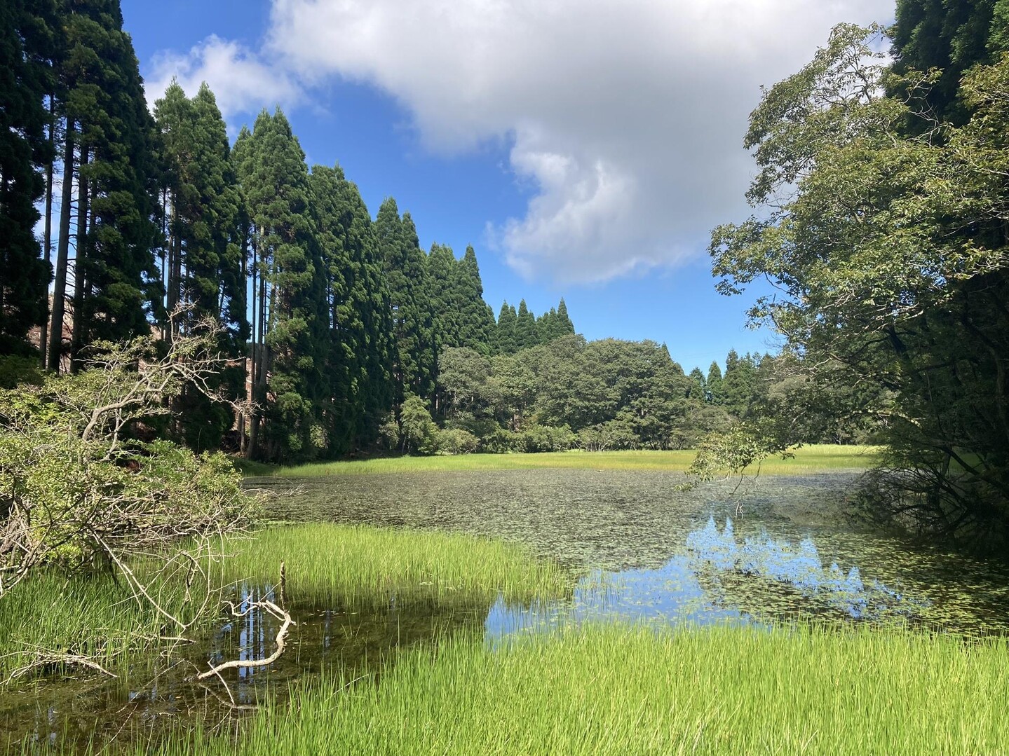 名前はかわいい恋姫山 / panさんの多度山・美濃松山・石津御嶽の活動データ | YAMAP / ヤマップ