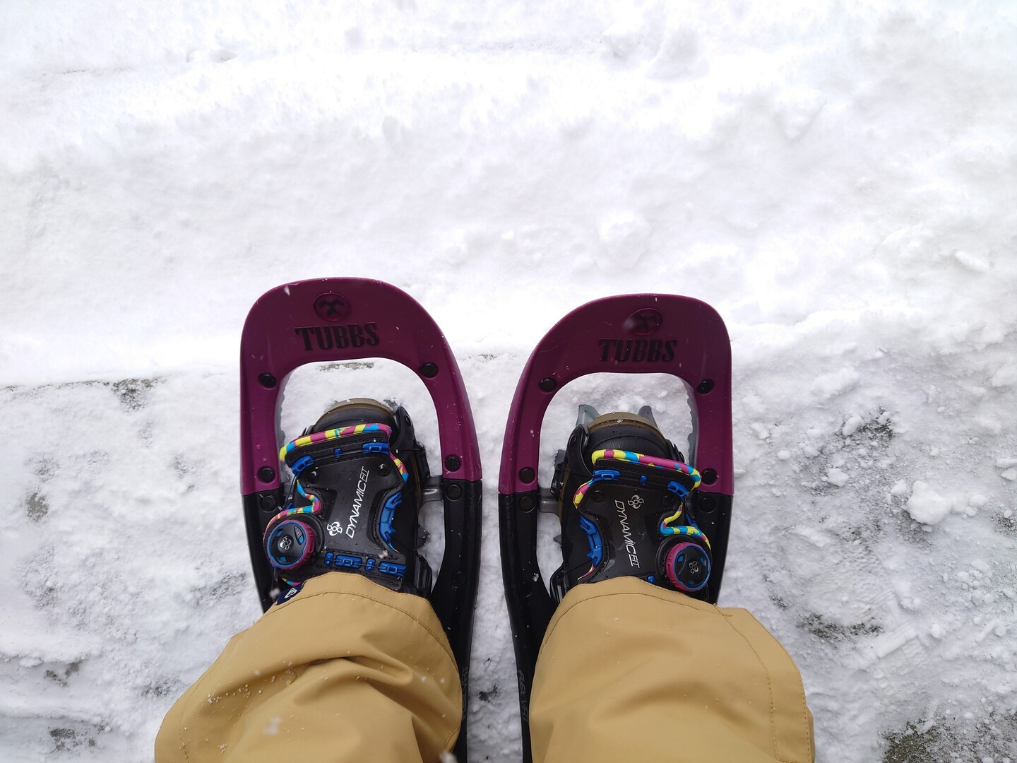 またまた、凄い雪ですね☃️ 雪かき終わっ... / makyさんのモーメント | YAMAP / ヤマップ