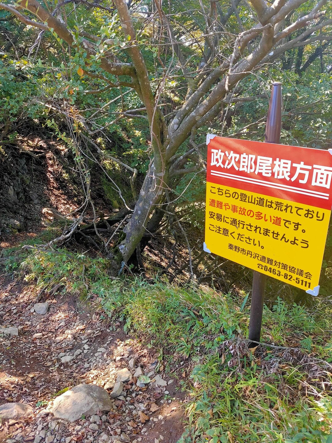 るーさんさんの投稿したフィールドメモ | YAMAP / ヤマップ