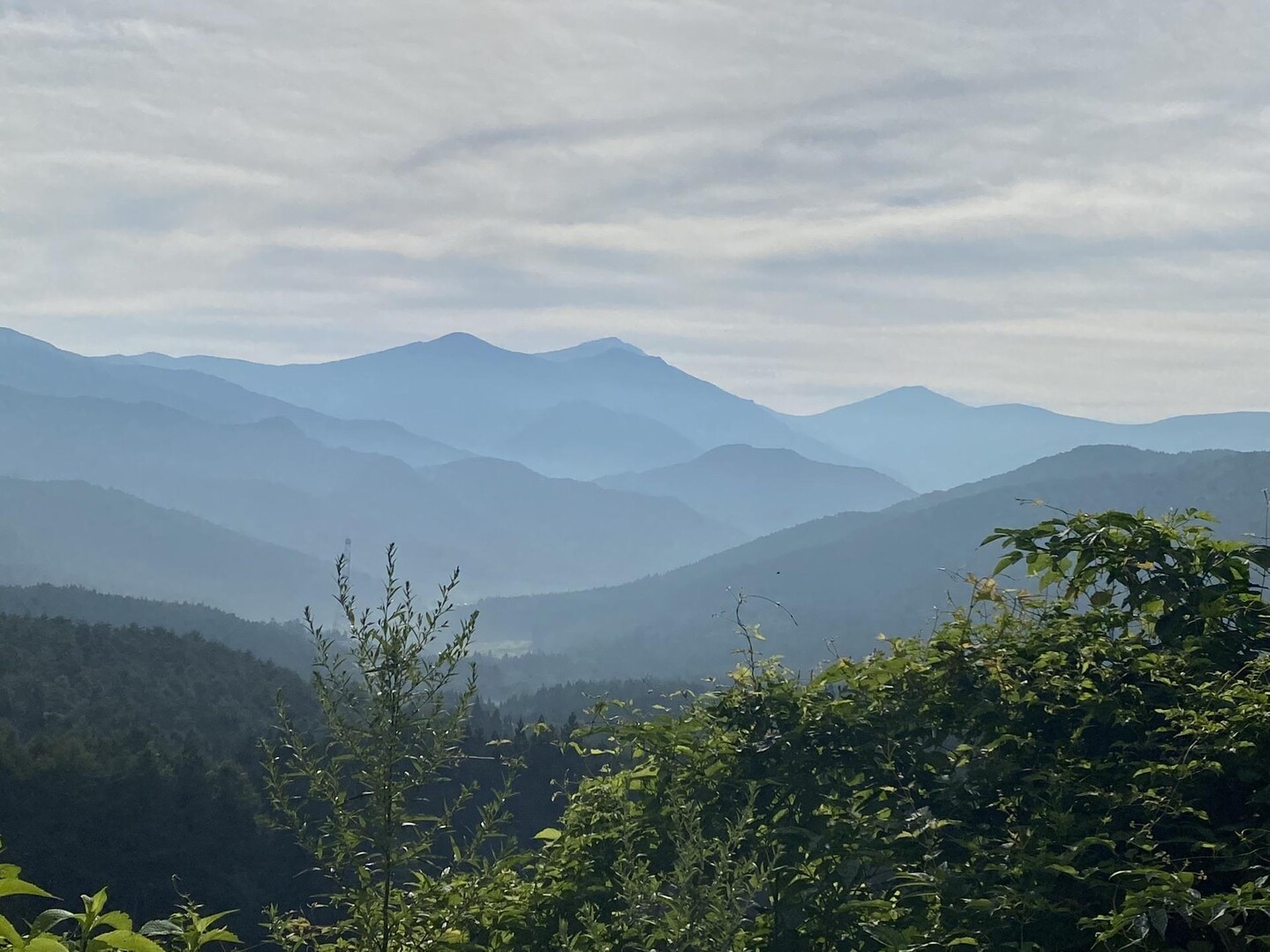 早池峰山・中岳・鶏頭山 / HIROさんの早池峰山・薬師岳・鶏頭山の活動データ | YAMAP / ヤマップ