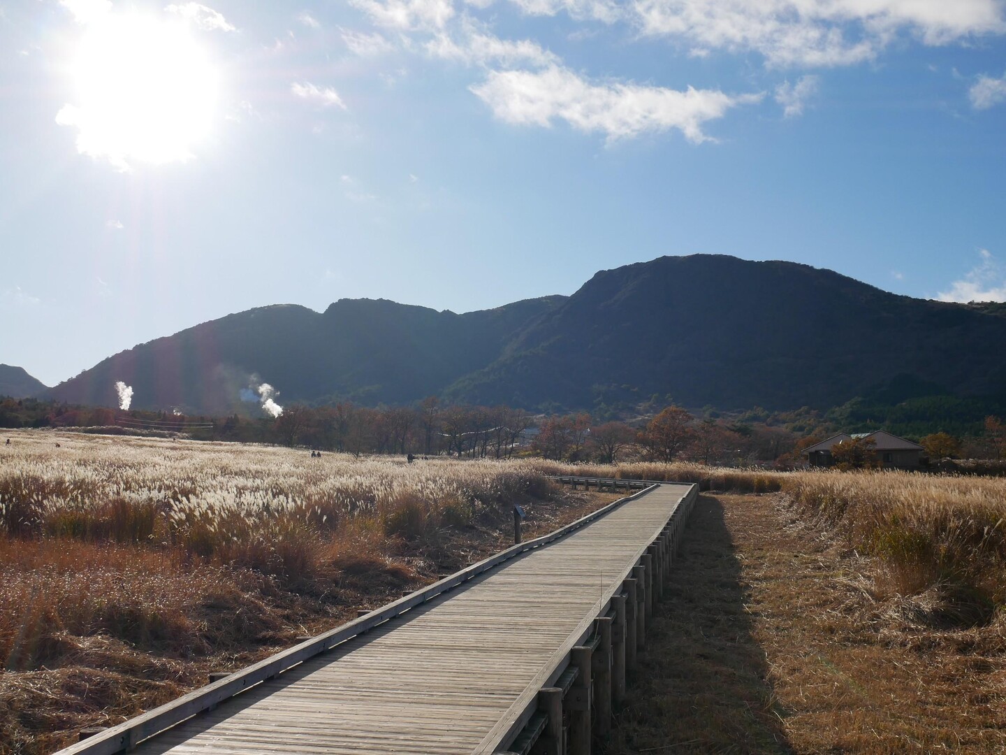 タデ原お散歩 〜晩秋から冬の気配〜 / お散歩探険倶楽部さんの九重山（久住山）・大船山・星生山の活動日記 | YAMAP / ヤマップ