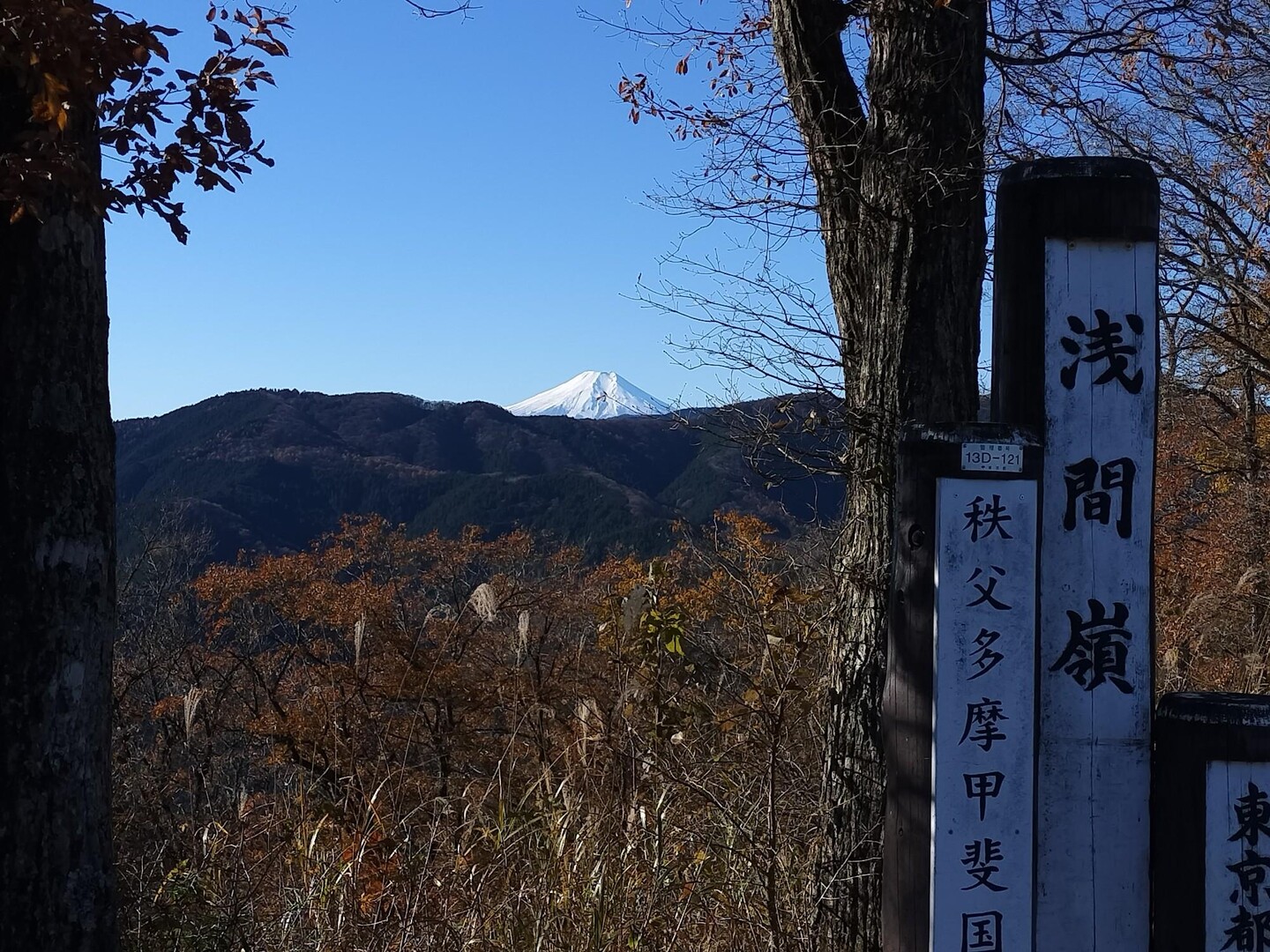 関東百名山 浅間嶺(小岩浅間) / kooさんの大岳山・御岳山・御前山の活動データ | YAMAP / ヤマップ