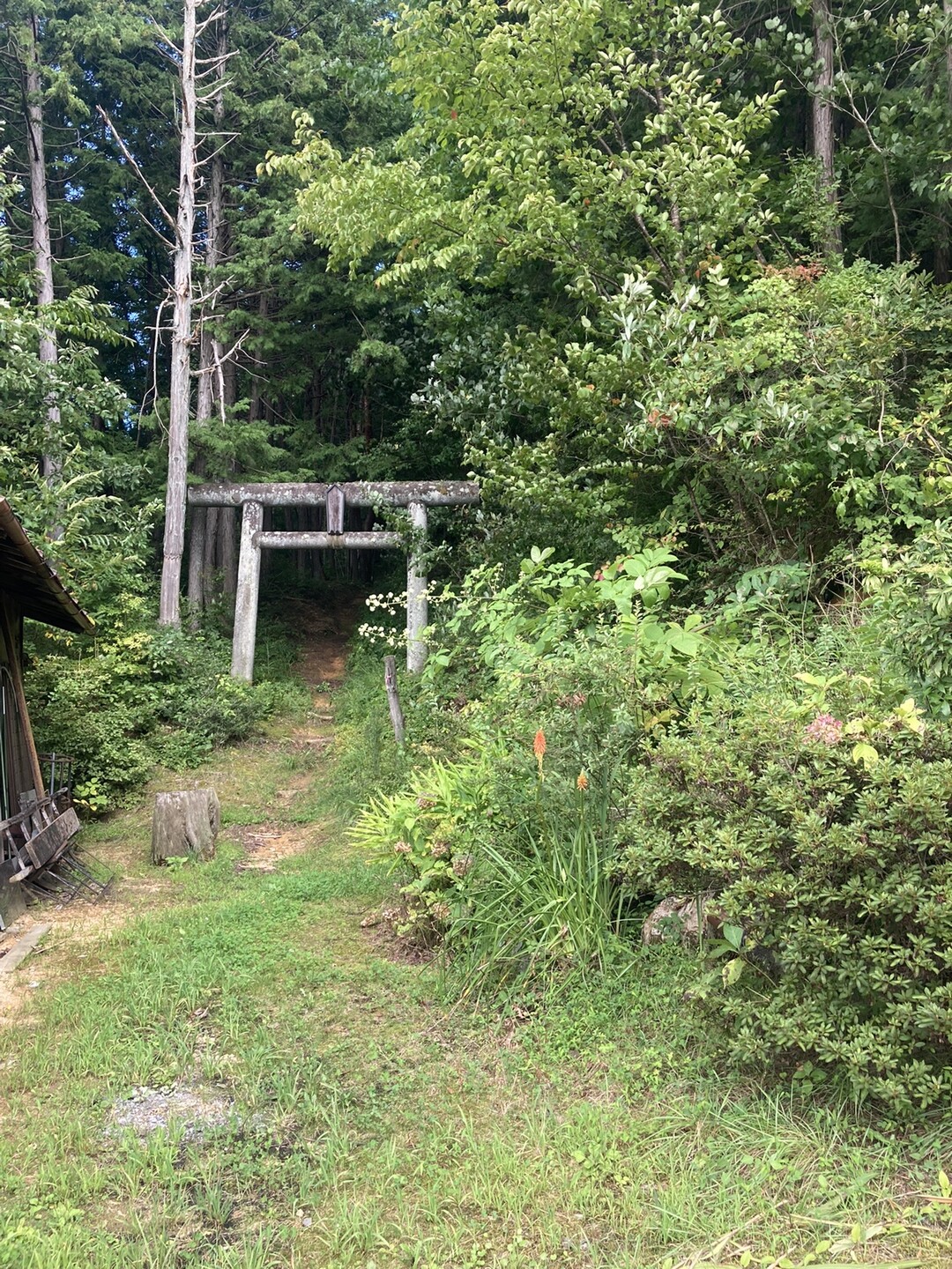 錦山 / mm mさんの乗鞍岳の活動データ | YAMAP / ヤマップ