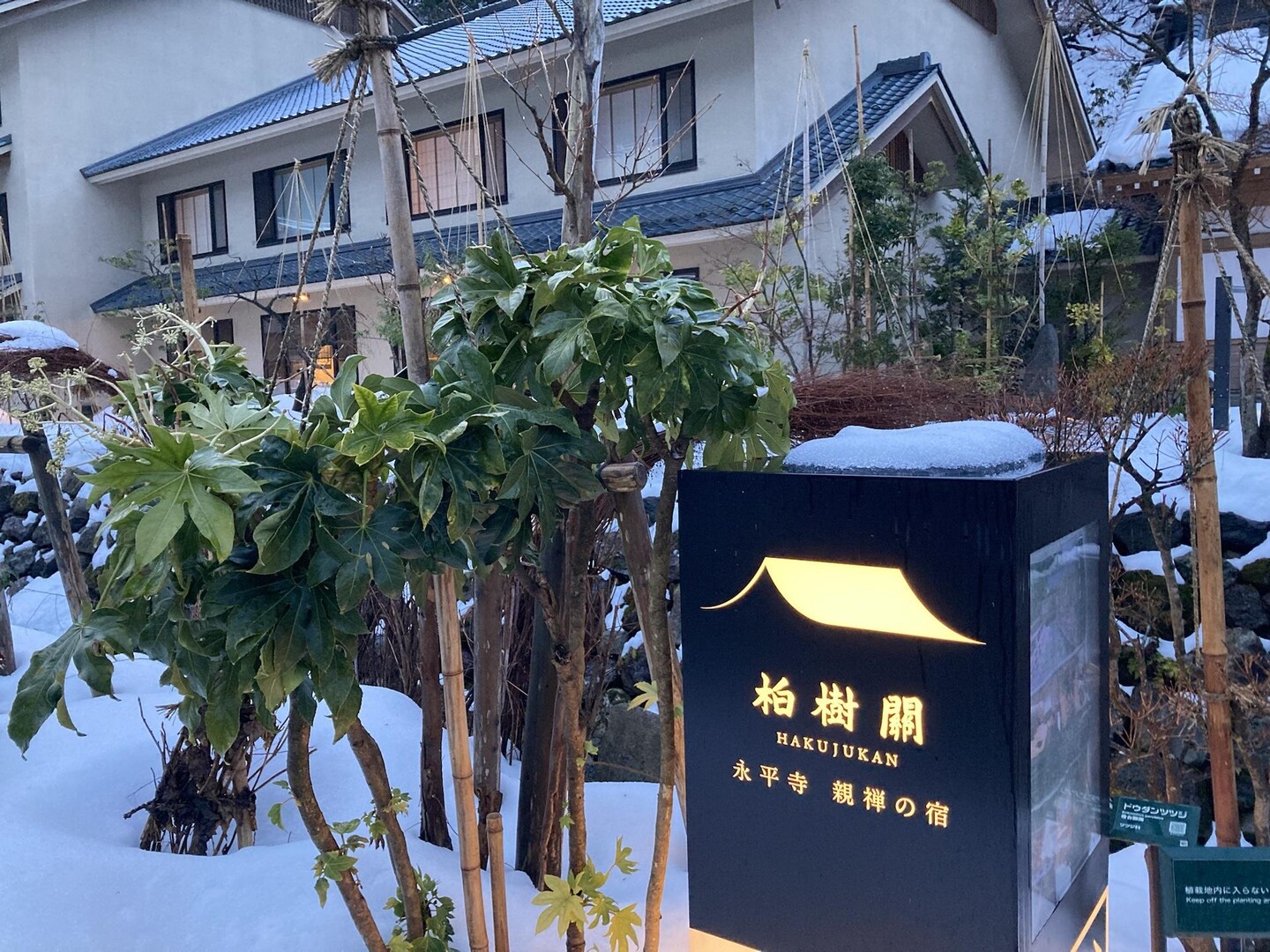 永平寺宿泊🏨福井県@2025年2月2日... / ゆうゆさんのモーメント | YAMAP / ヤマップ