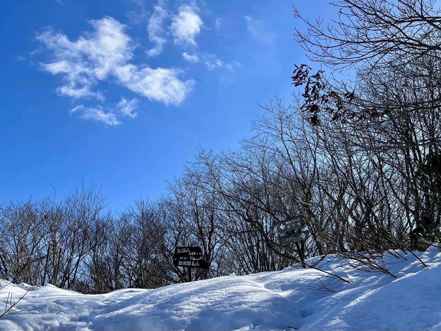 R5年度『鳥坂山』で登り納め🏔️ / w823hさんの櫛形山・鳥坂山・大峰山（櫛形山脈）の活動データ | YAMAP / ヤマップ