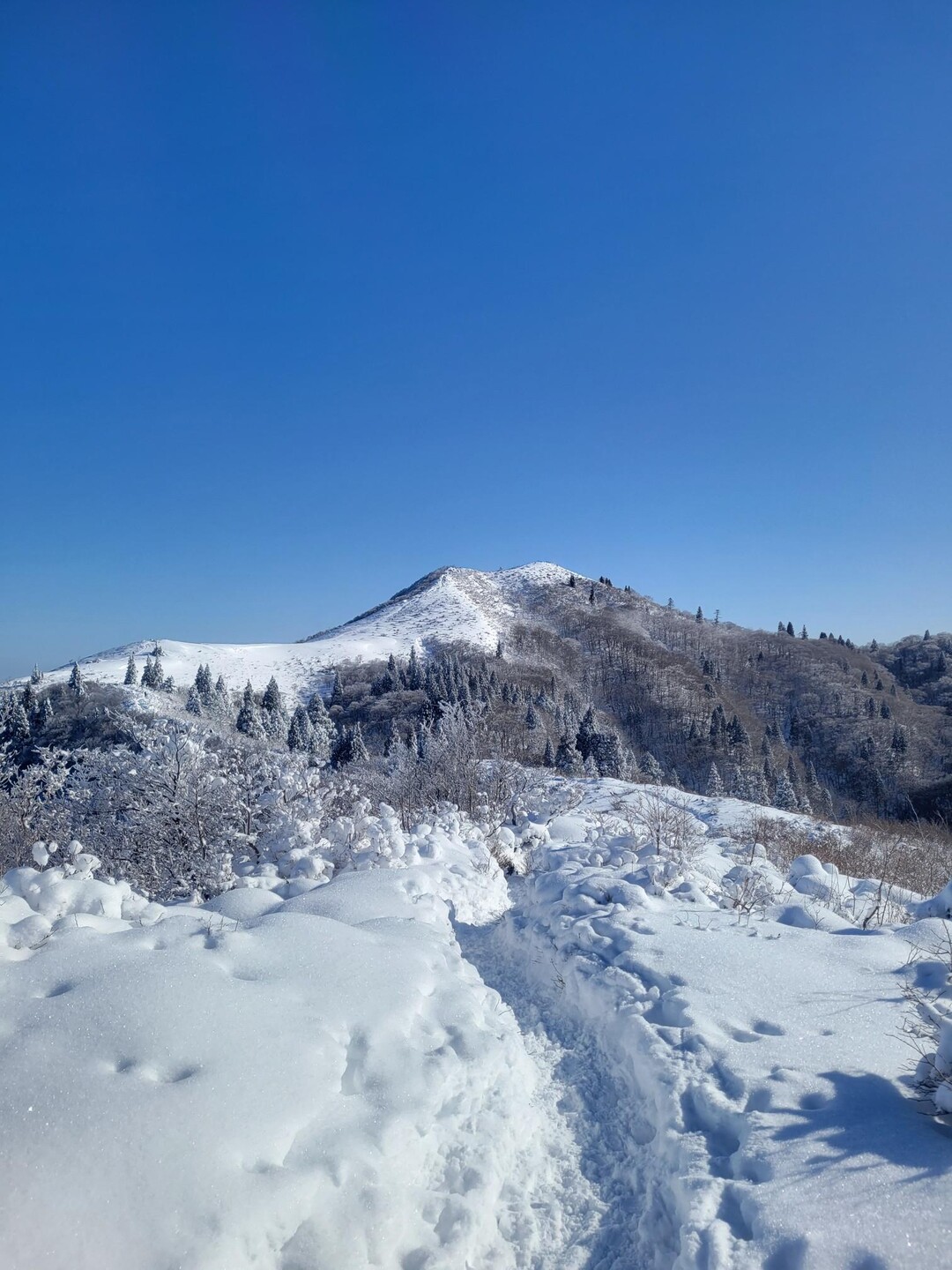 武奈ヶ岳 / SHI---さんの比良山地・武奈ヶ岳・釈迦岳の活動データ | YAMAP / ヤマップ