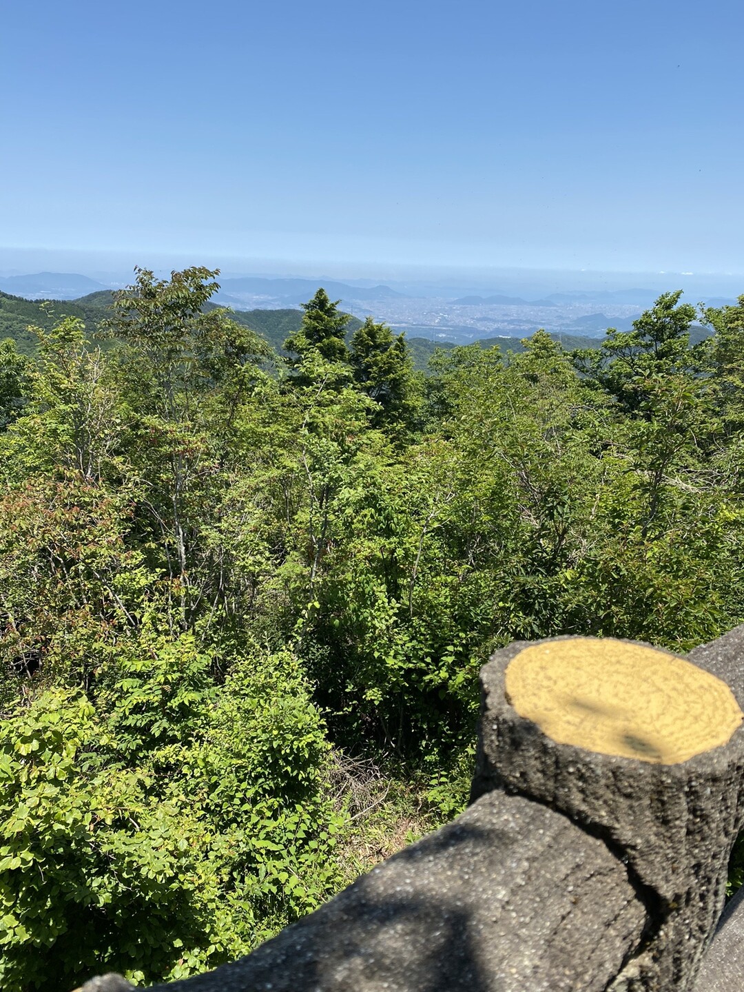 竜王山（讃岐竜王）・竜王山（阿波竜王） / ko_h5kwさんの竜王山（讃岐山脈）・大川山の活動データ | YAMAP / ヤマップ