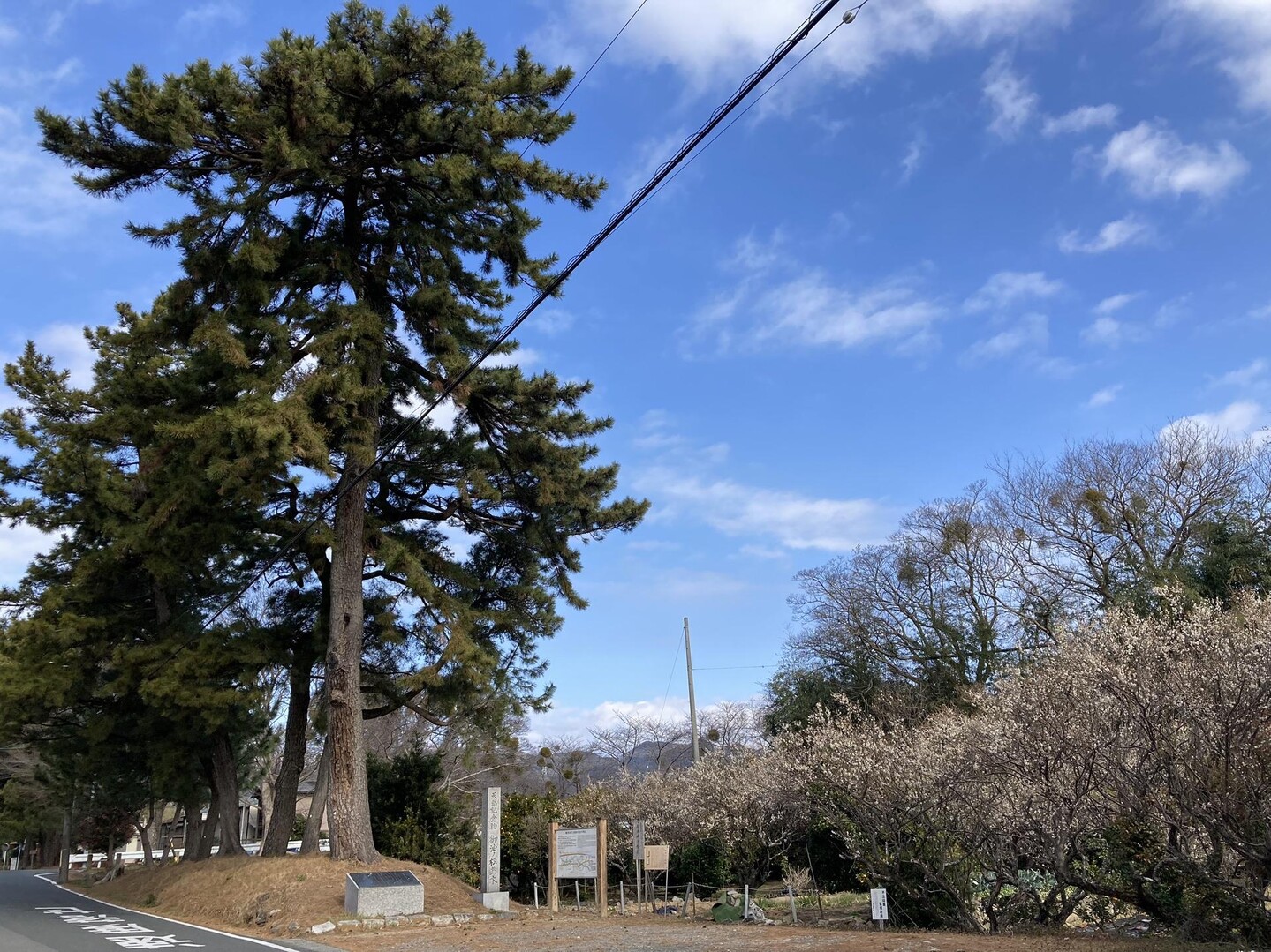 旧東海道-20日目 / Aokatiさんの東海道五十三次（御油宿・赤坂宿・藤川宿・岡崎宿）の活動データ | YAMAP / ヤマップ