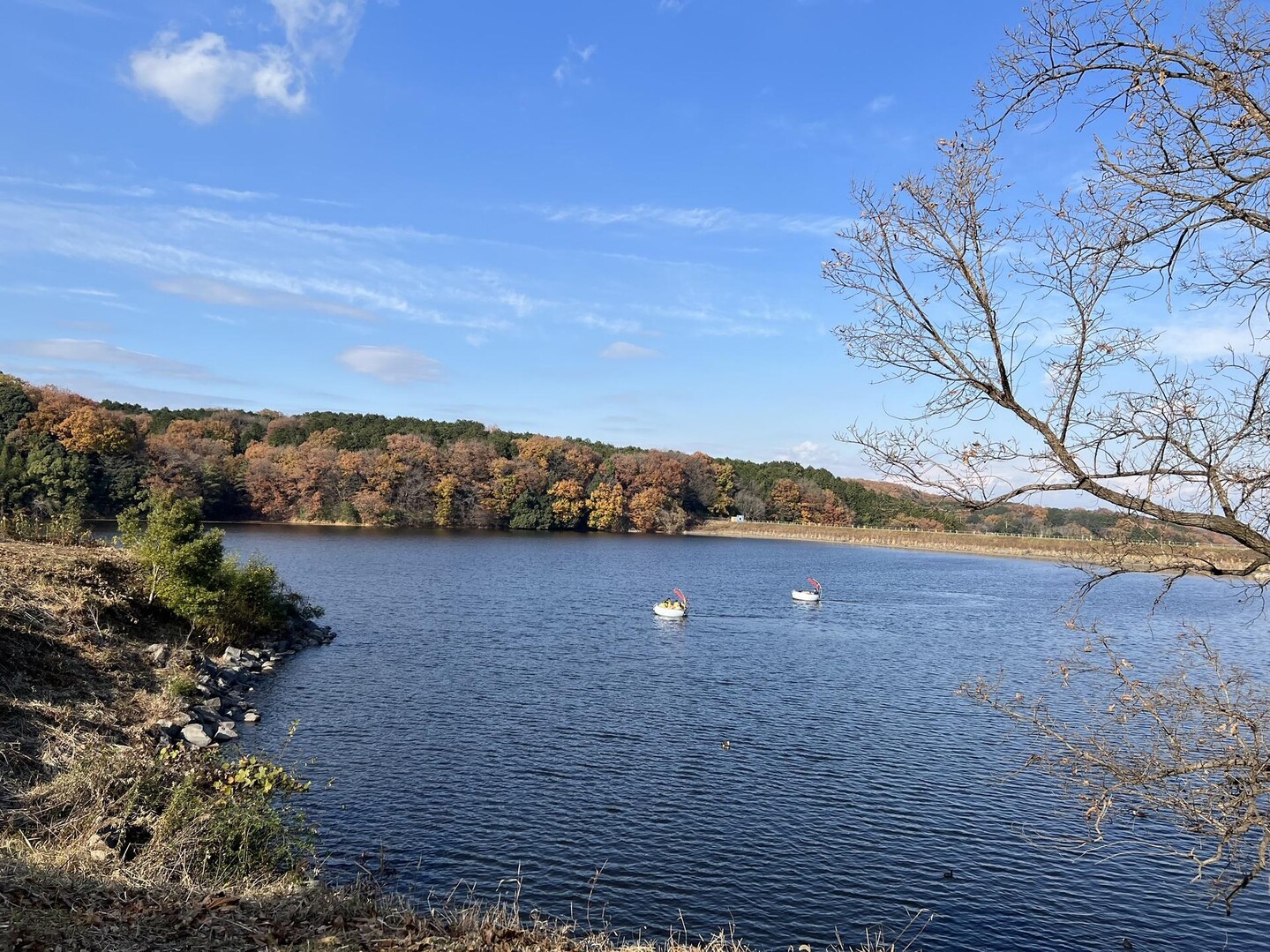 天覧山からムーミン谷🍁 / tea003さんの天覧山・多峯主山・天覚山の活動データ | YAMAP / ヤマップ