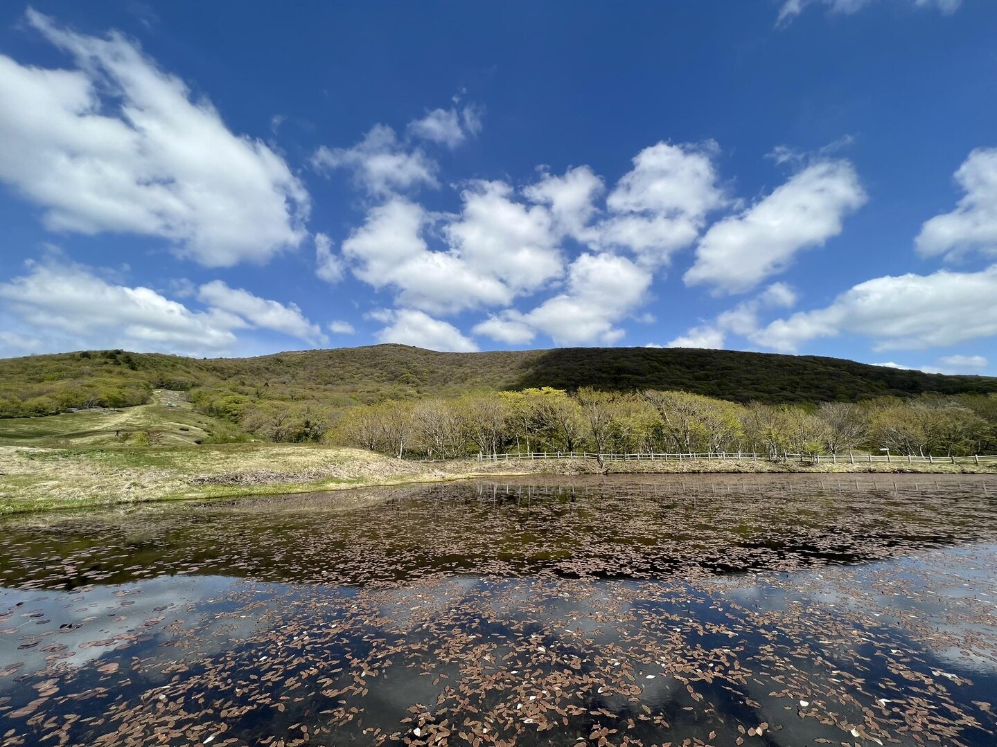 吾妻山・烏帽子山・比婆山 / pi_ro_shikiさんの比婆山・立烏帽子山・吾妻山の活動データ | YAMAP / ヤマップ