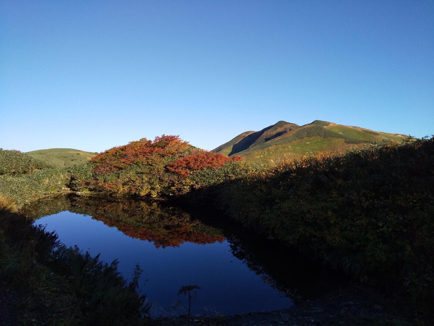 三国岳・飯豊山・大日岳・烏帽子岳・梅花皮岳・北股岳 / muscari-mieさんの飯豊山・大日岳・御西岳の活動データ | YAMAP / ヤマップ