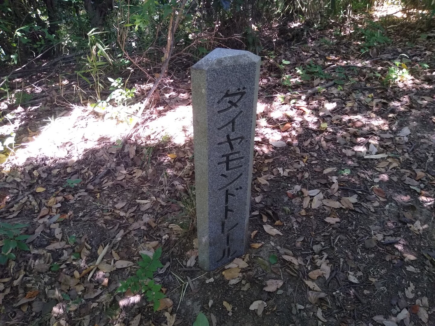 ダイトレ未遂、二上山！ / mimitabuさんの金剛山・二上山・大和葛城山の活動データ | YAMAP / ヤマップ