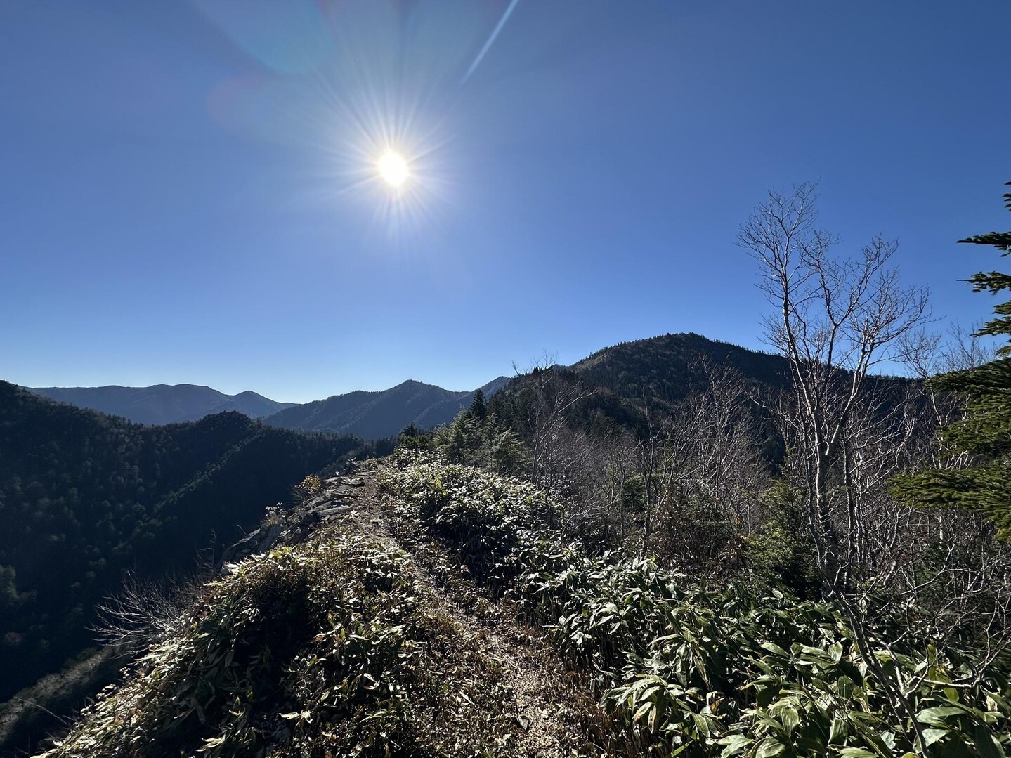 佐武流山 / mura-chinさんの苗場山・赤倉山・佐武流山の活動日記 | YAMAP / ヤマップ