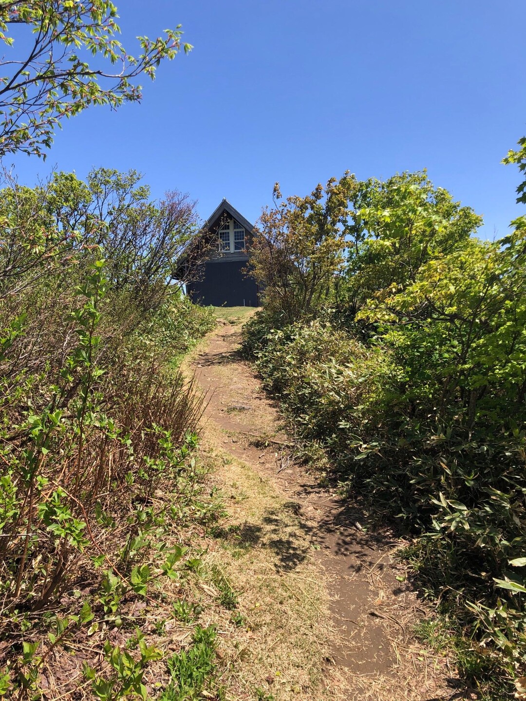 久しぶりの米山（新潟県）2024-5-17 / toshiさんの米山の活動データ | YAMAP / ヤマップ