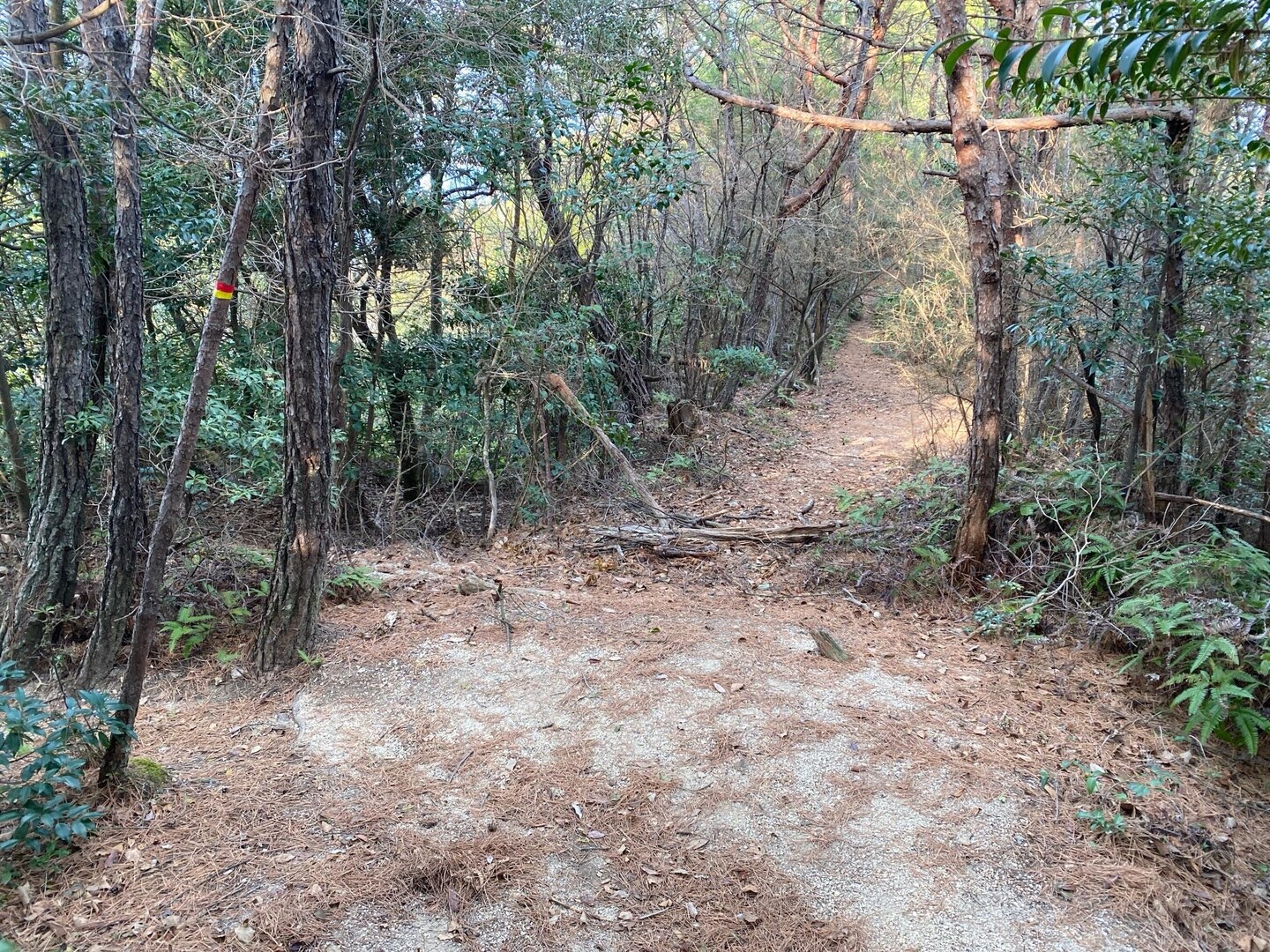 masa7887さんの投稿したフィールドメモ | YAMAP / ヤマップ