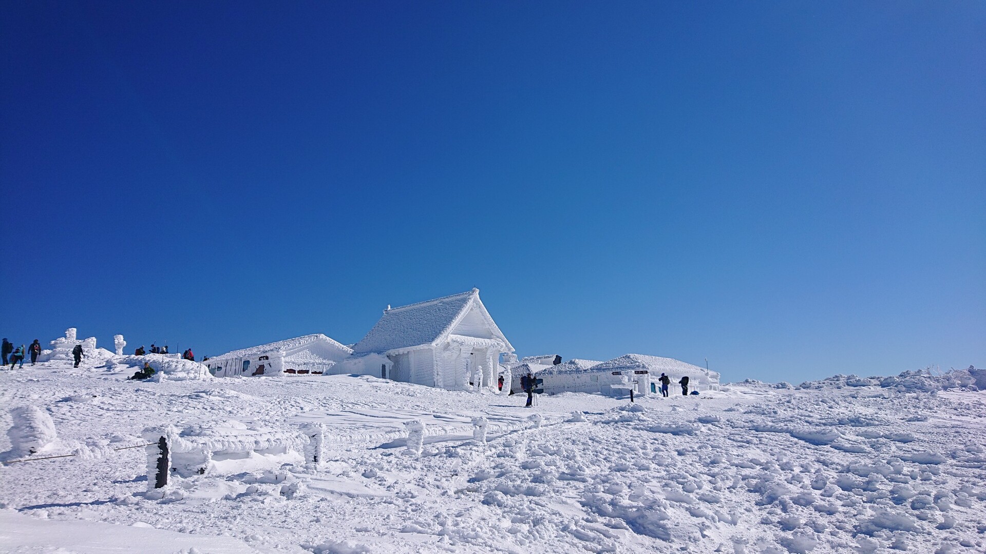 徳蔵山・伊吹山 / booさんの伊吹山・伊吹高原・御座峰の活動データ | YAMAP / ヤマップ