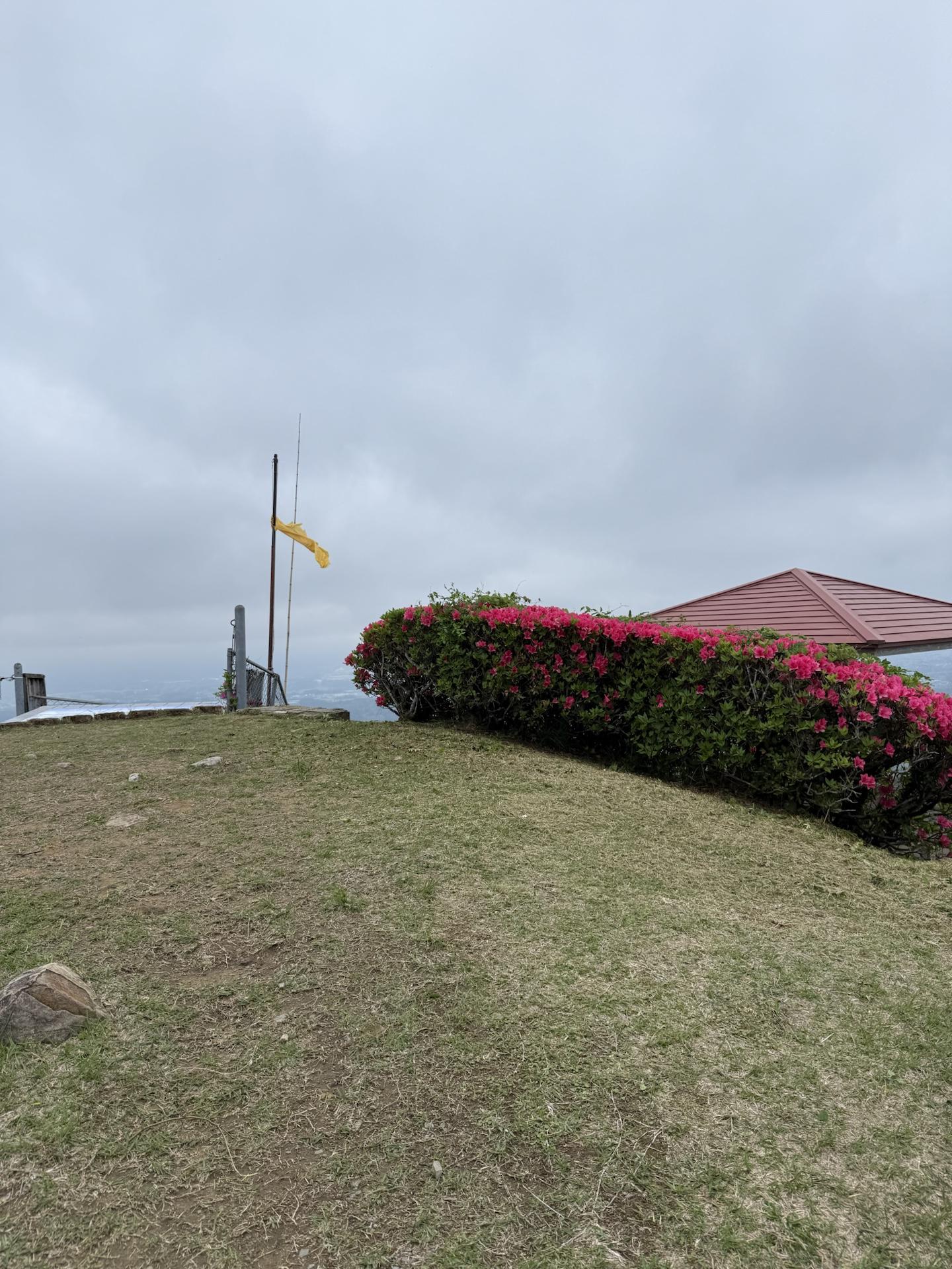 2025年金御岳トレーニング71回目 / cocoさんの金御岳の活動データ | YAMAP / ヤマップ