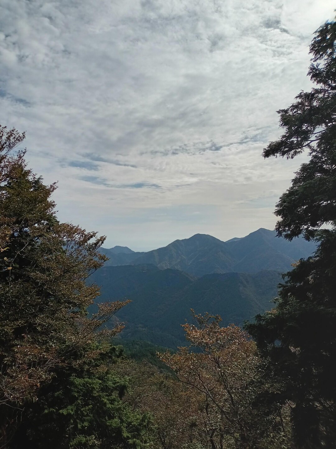 天狗堂【鈴鹿⛰6/10】 / じゅんさんの天狗堂の活動データ | YAMAP / ヤマップ