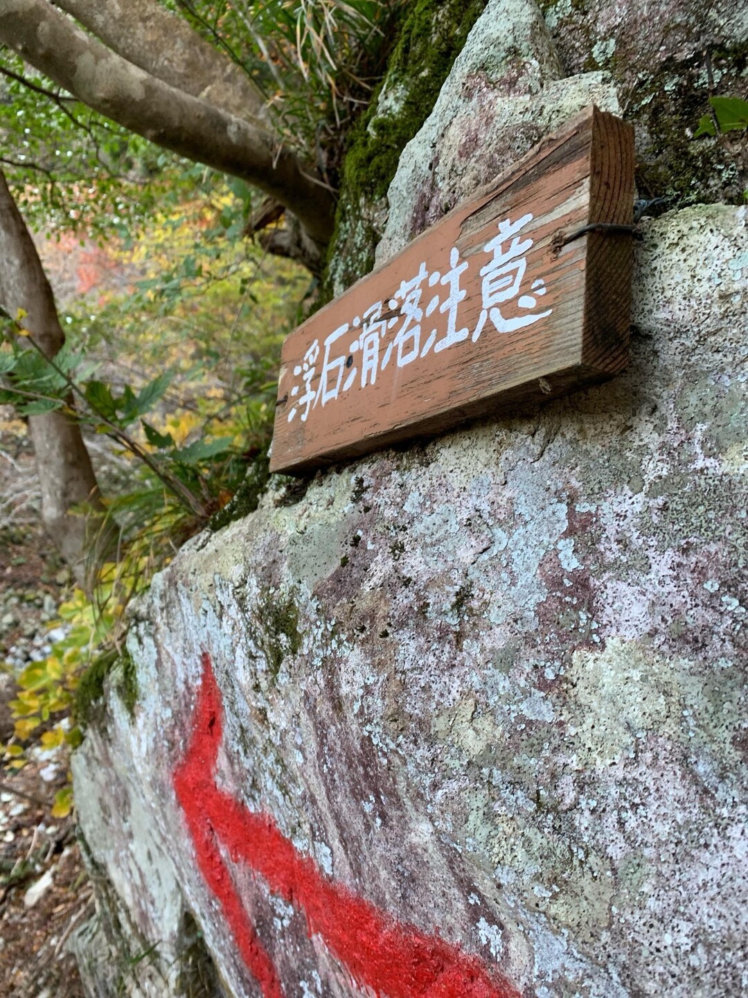 おかわり 神璽の滝から川沿いに / hikkyさんの比良山地・武奈ヶ岳・釈迦岳の活動データ | YAMAP / ヤマップ