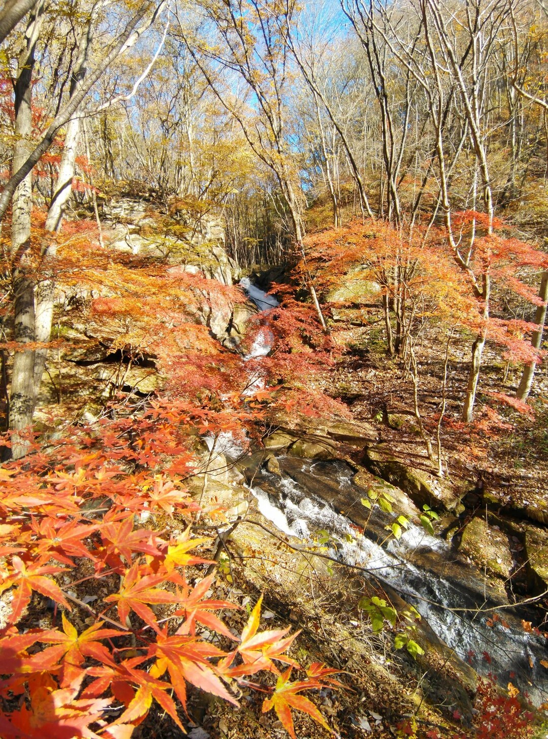 行って来ました👣滝川渓谷🍁 / totoさんの滝川渓谷の活動データ | YAMAP / ヤマップ