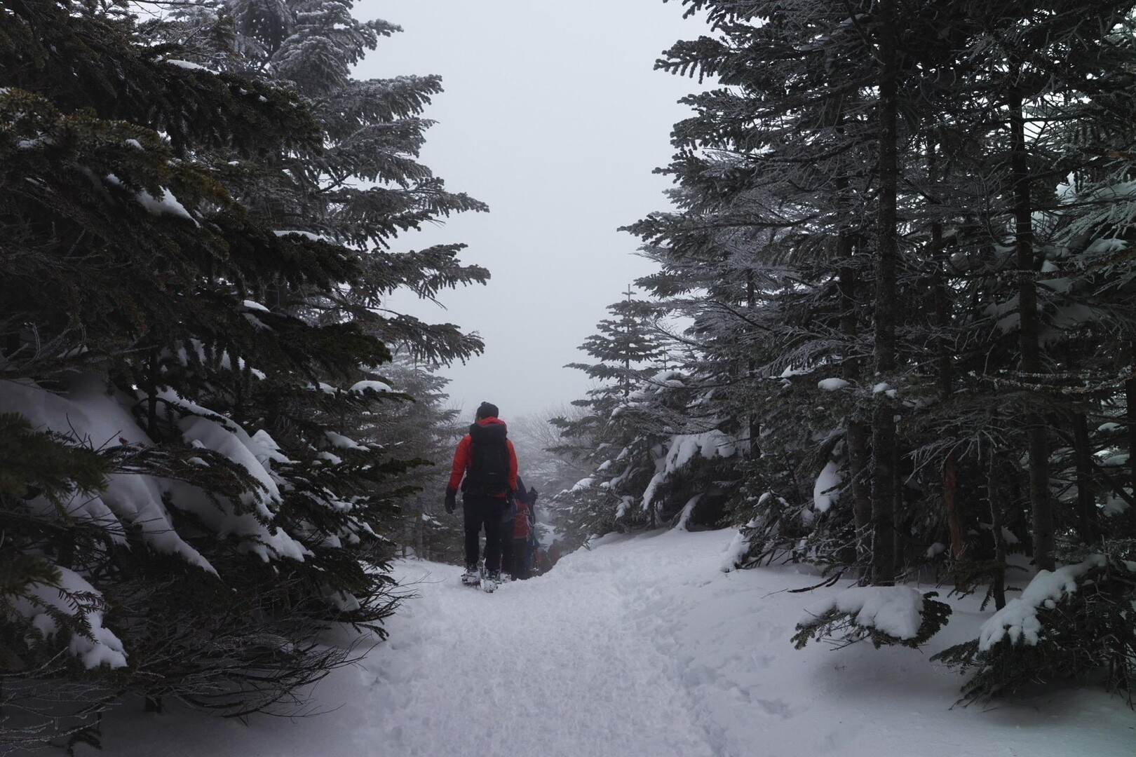 厳冬期 北横岳(Gr) / がんばるんばいむらかみさんの蓼科山・横岳・縞枯山の活動データ | YAMAP / ヤマップ