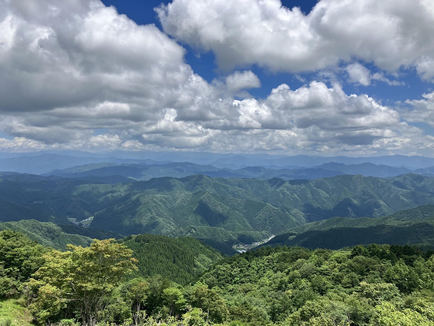 萩太郎山 〜観光〜 R5.7.16 / MASA.Iさんの茶臼山・万灯山の活動データ | YAMAP / ヤマップ