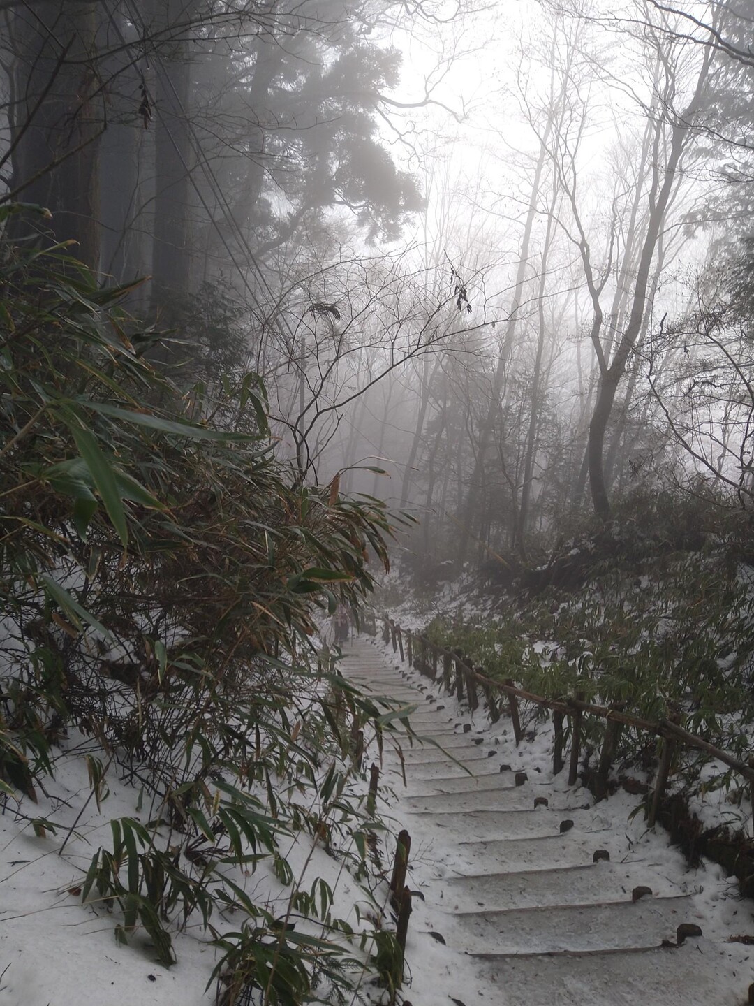 金剛山 / Mo-cha さんの金剛山・二上山・大和葛城山の活動データ | YAMAP / ヤマップ