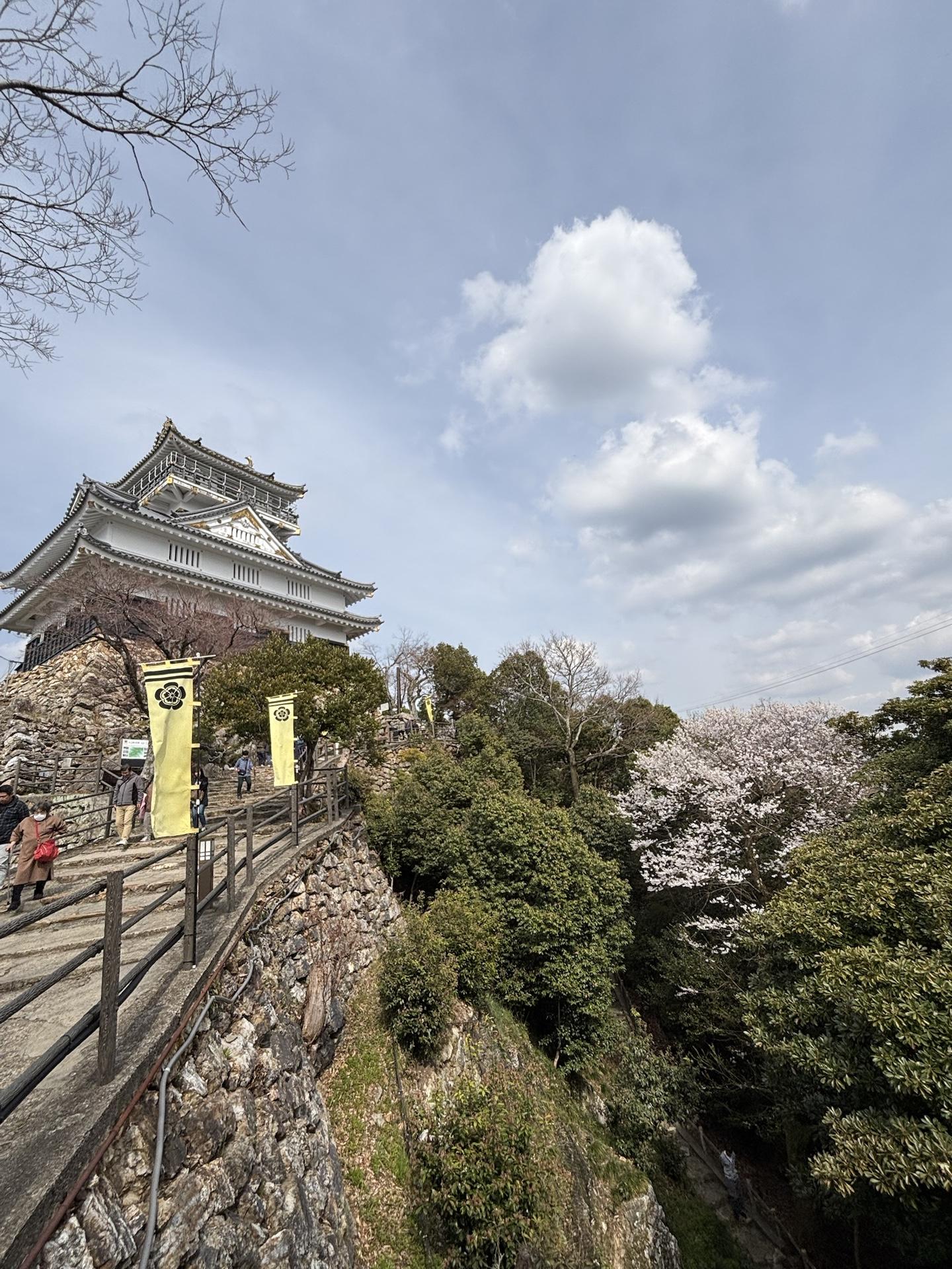 金華山 / Peak Hunterさんの金華山・洞山・舟伏山の活動データ | YAMAP / ヤマップ