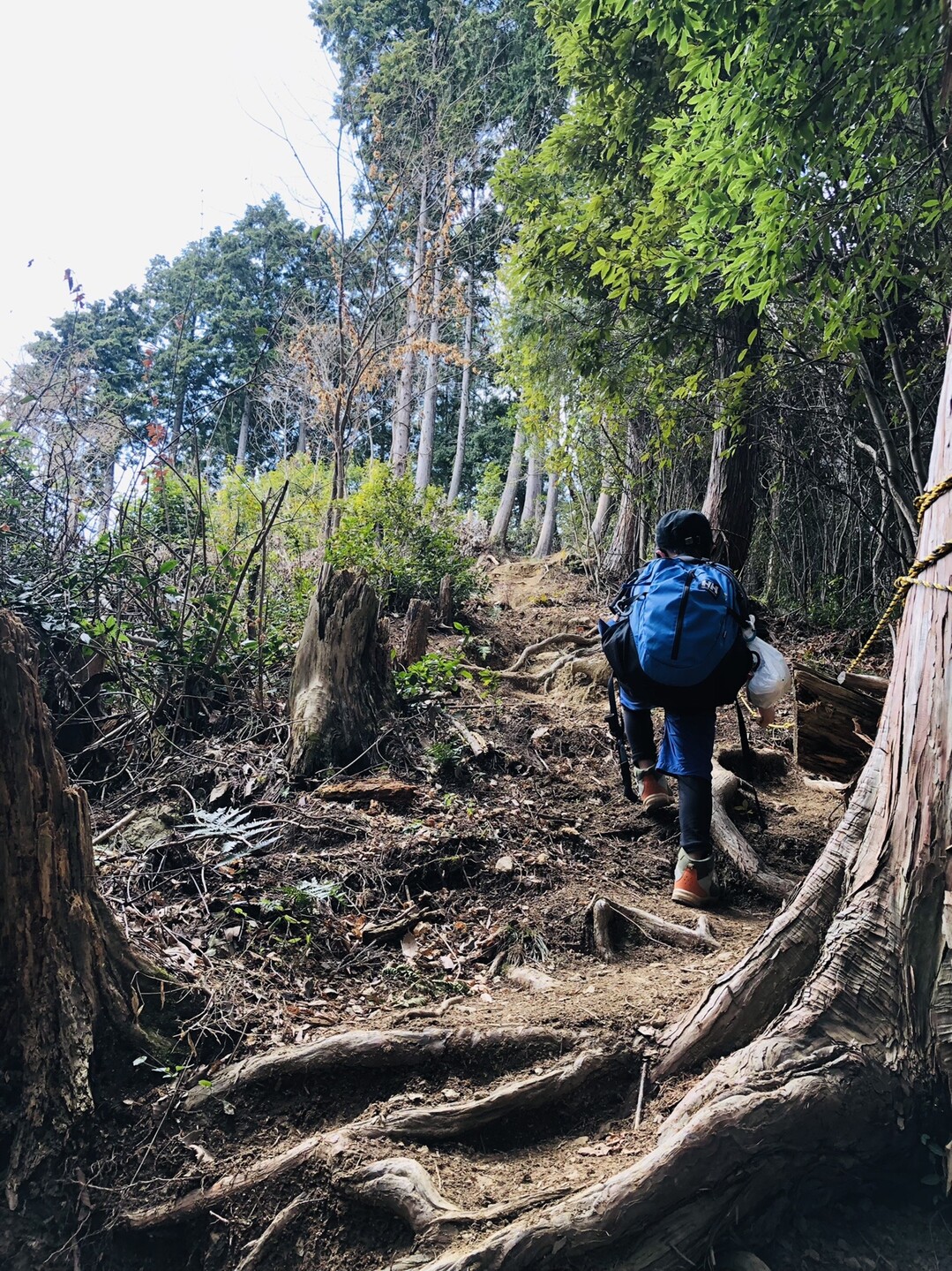 飯能アルプス制覇 天覧山・多峯主山・大黒山・久須美ケルン(永田山)・久須美山・天覚山 / hi_ro.69さんの天覧山・多峯主山・天覚山の活動日記 | YAMAP / ヤマップ