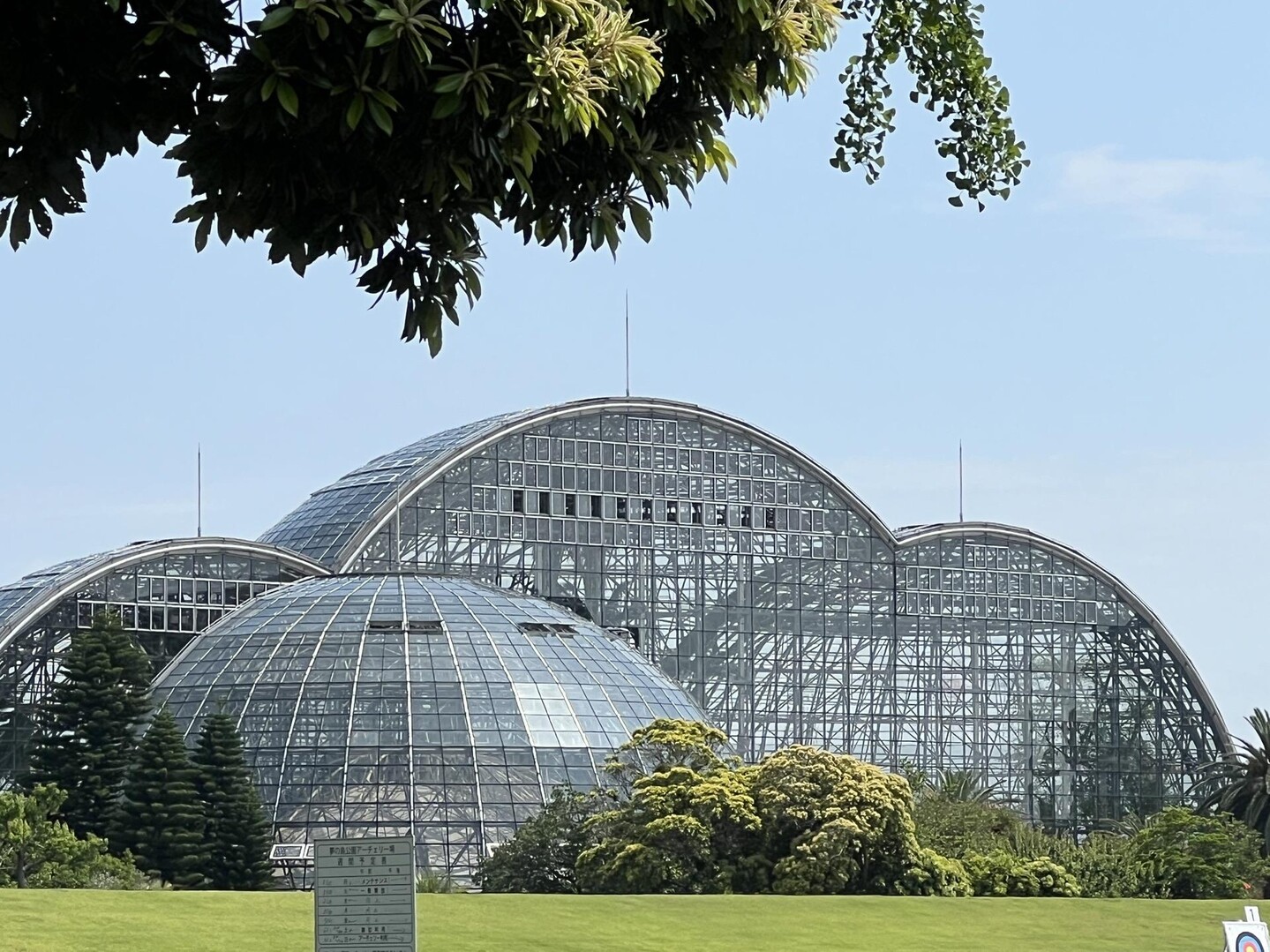 最終日は 夢の島熱帯植物館へ / Naope!さんのウォーキングの活動データ | YAMAP / ヤマップ