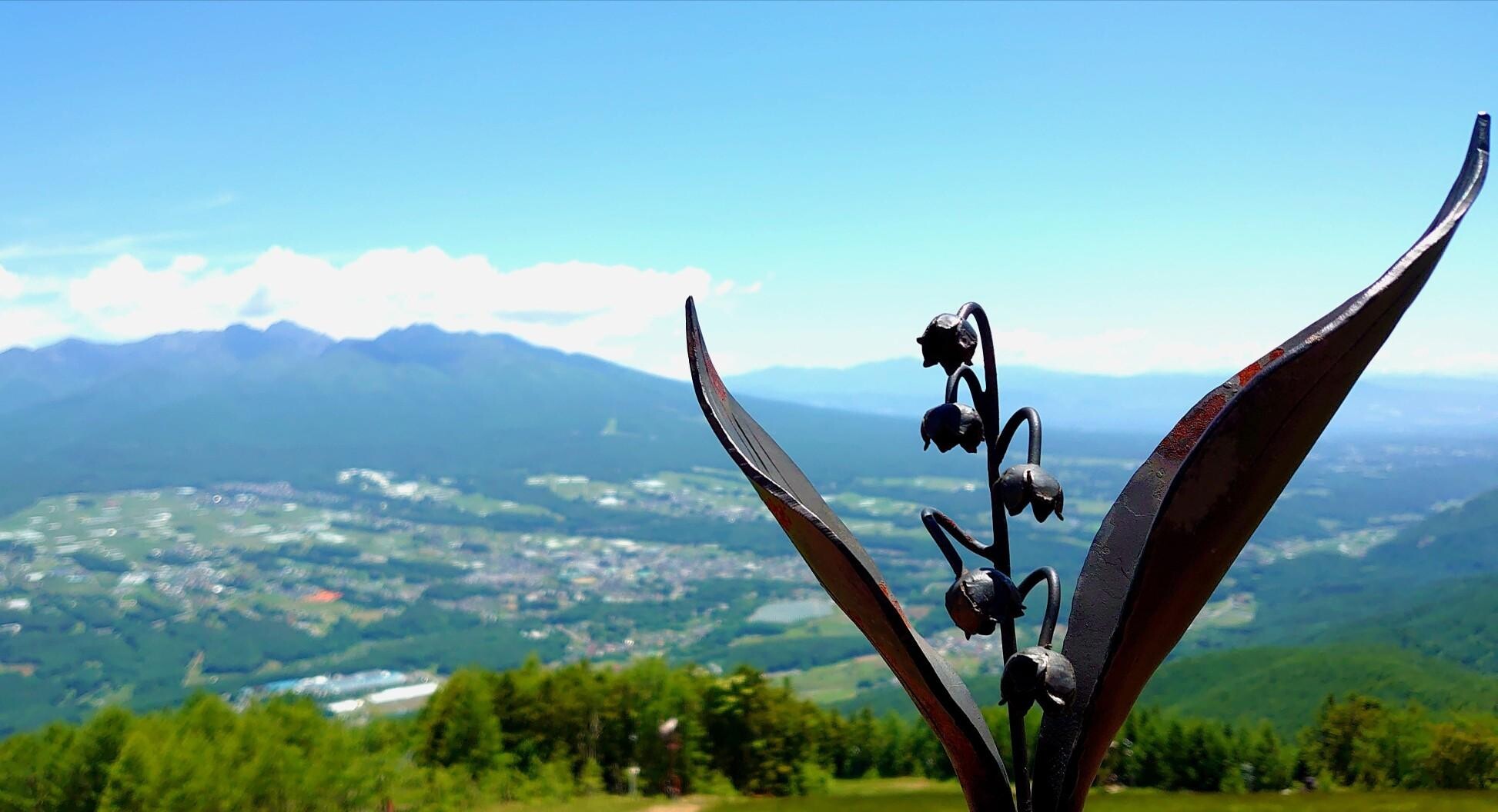 ㊗️還暦ハイク de 入笠湿原🌺 / Ryuさんの入笠山の活動データ | YAMAP / ヤマップ