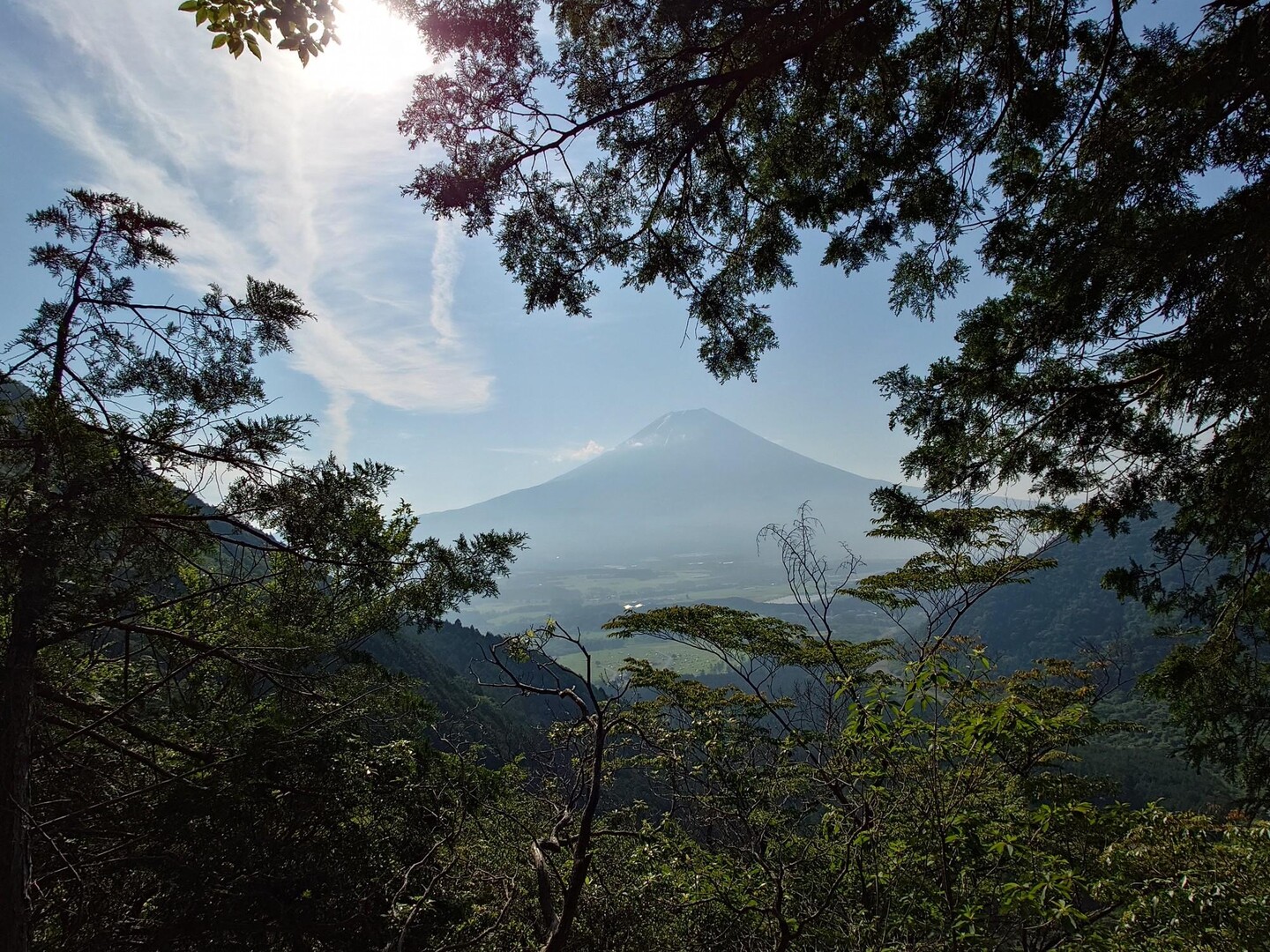 毛無山〜雨ヶ岳周回 / 2543mさんの毛無山・雨ヶ岳・竜ヶ岳の活動データ | YAMAP / ヤマップ