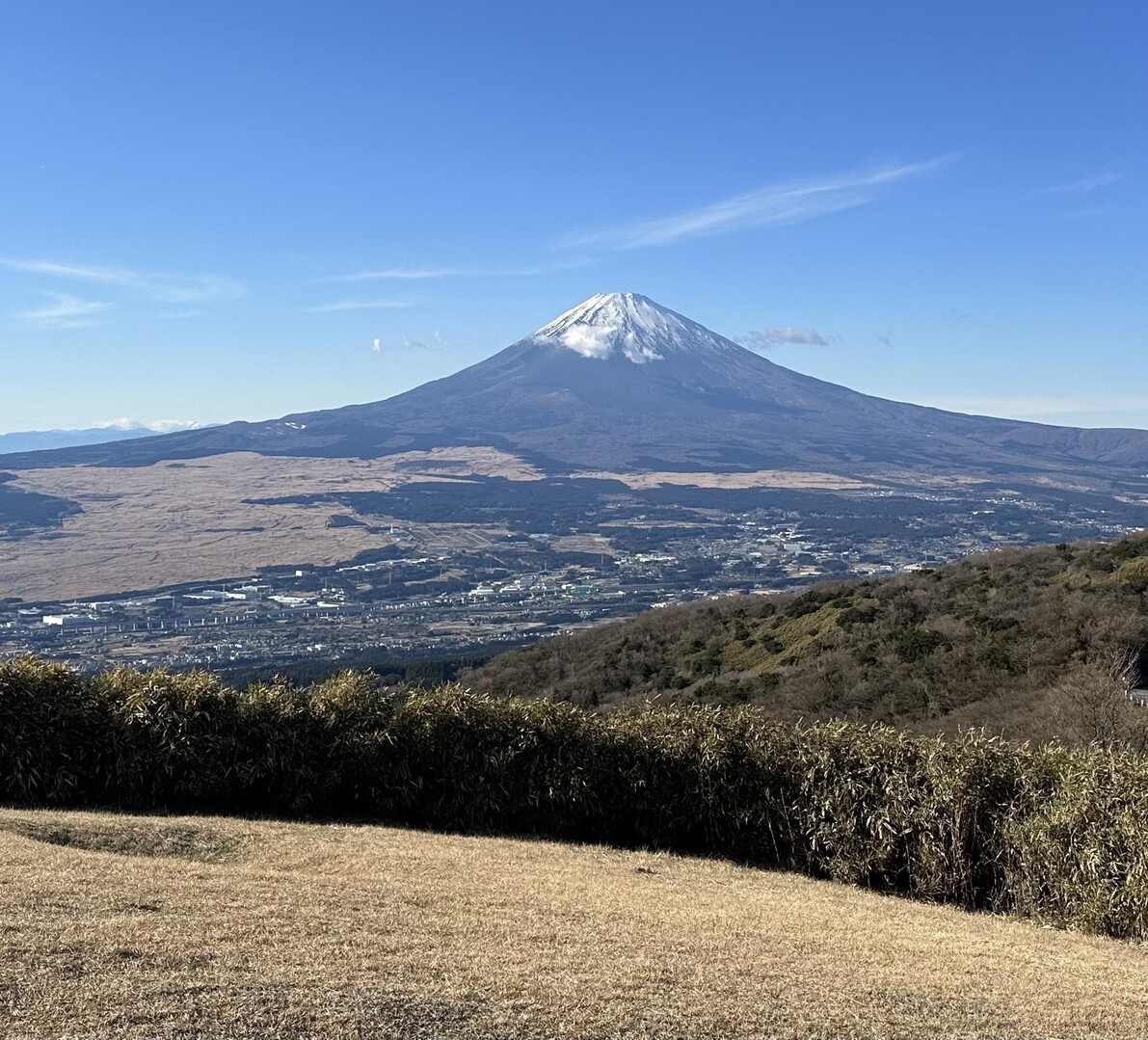 金時山・長尾山・丸岳 / Amyさんの金時山・明神ヶ岳の活動データ | YAMAP / ヤマップ