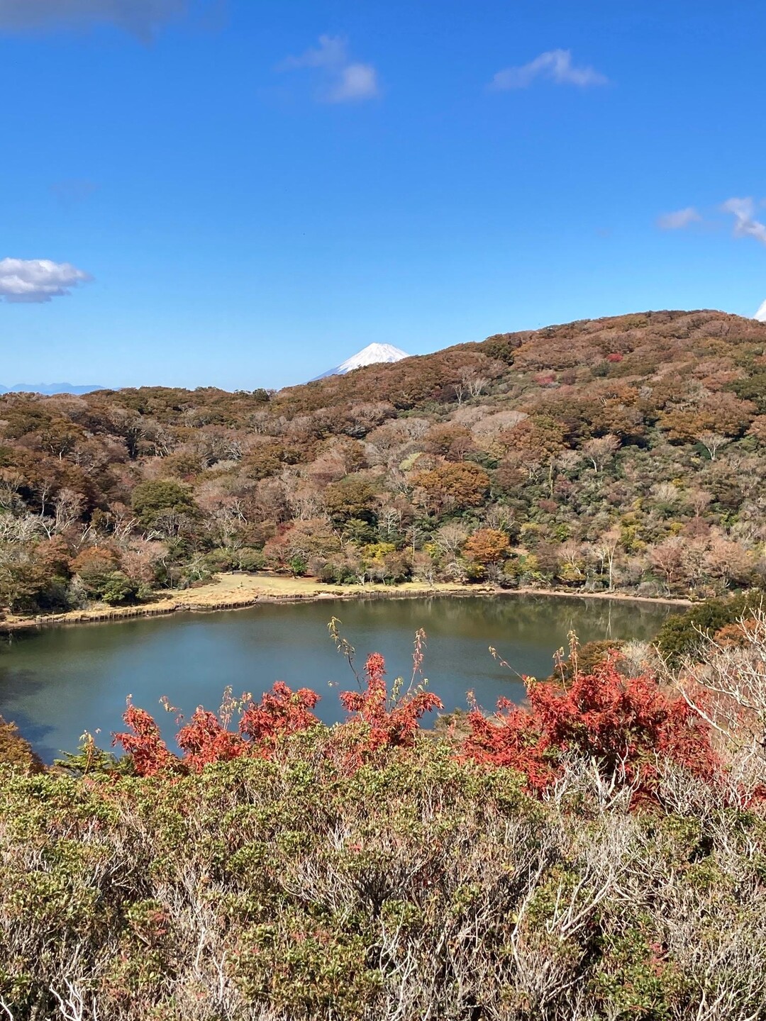 八丁池 / ふぁん太G3さんの天城山・鉢ノ山・三筋山の活動データ | YAMAP / ヤマップ