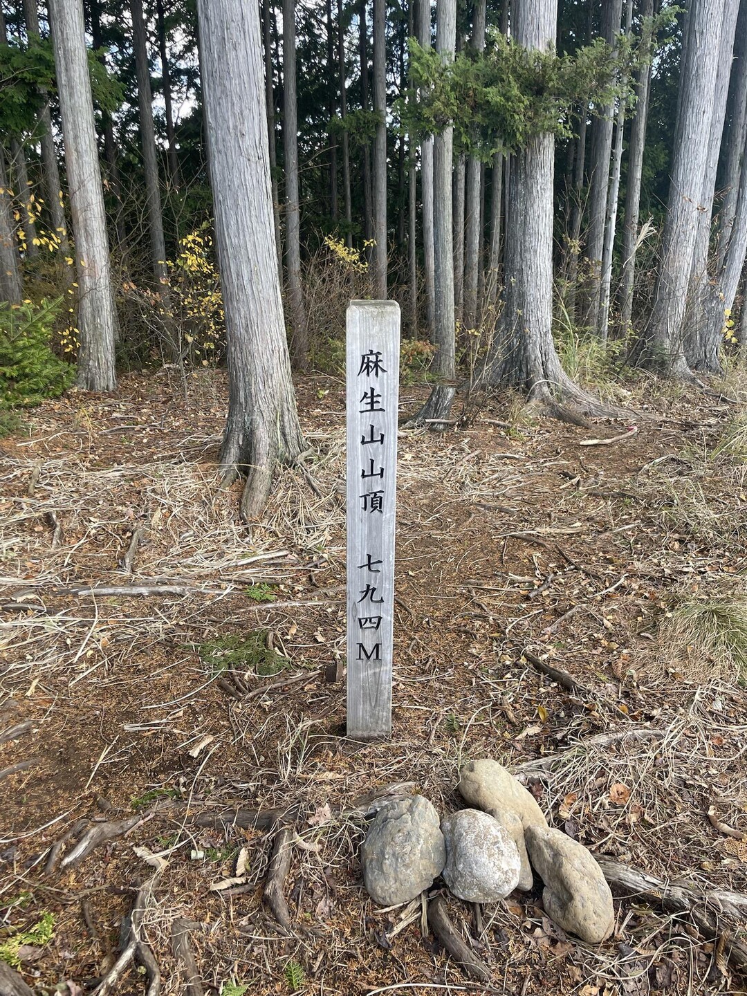 金比羅山・南沢山・タルクボ峰・麻生山・大塚山・広沢山 / gawaさんの大岳山・御岳山・御前山の活動データ | YAMAP / ヤマップ