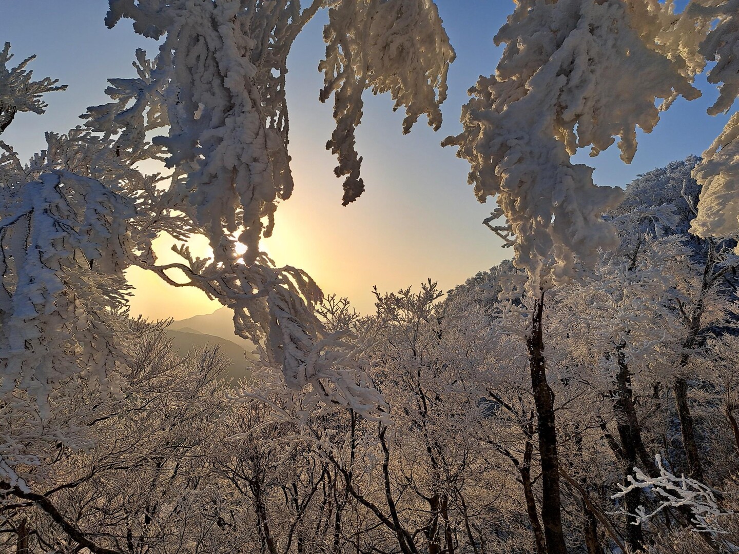 綿向山 / itimiさんの綿向山の活動データ | YAMAP / ヤマップ