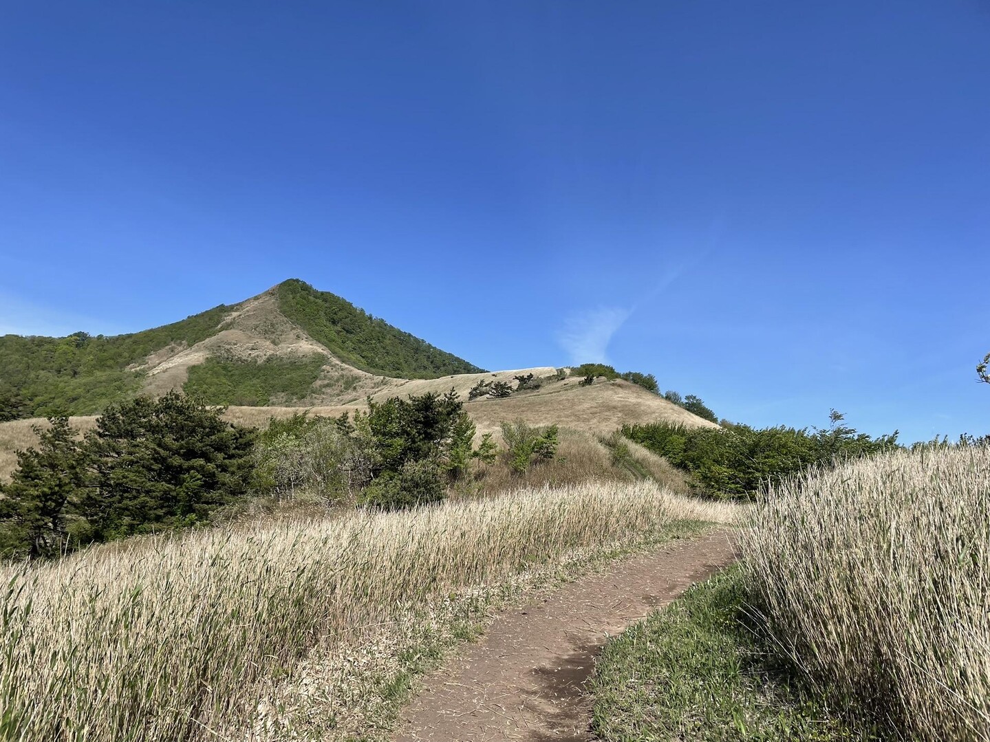 下蒜山登山（強風のため途中断念） / t a s k t n kさんの蒜山の活動データ | YAMAP / ヤマップ