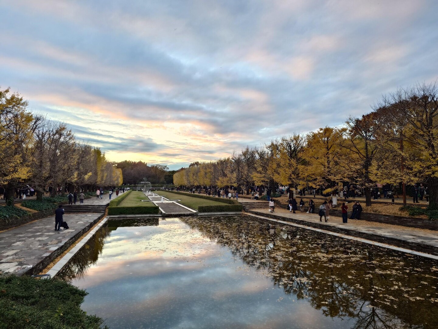 昭和記念公園-2024-11-24 / Y.Sakuさんのウォーキングの活動データ | YAMAP / ヤマップ