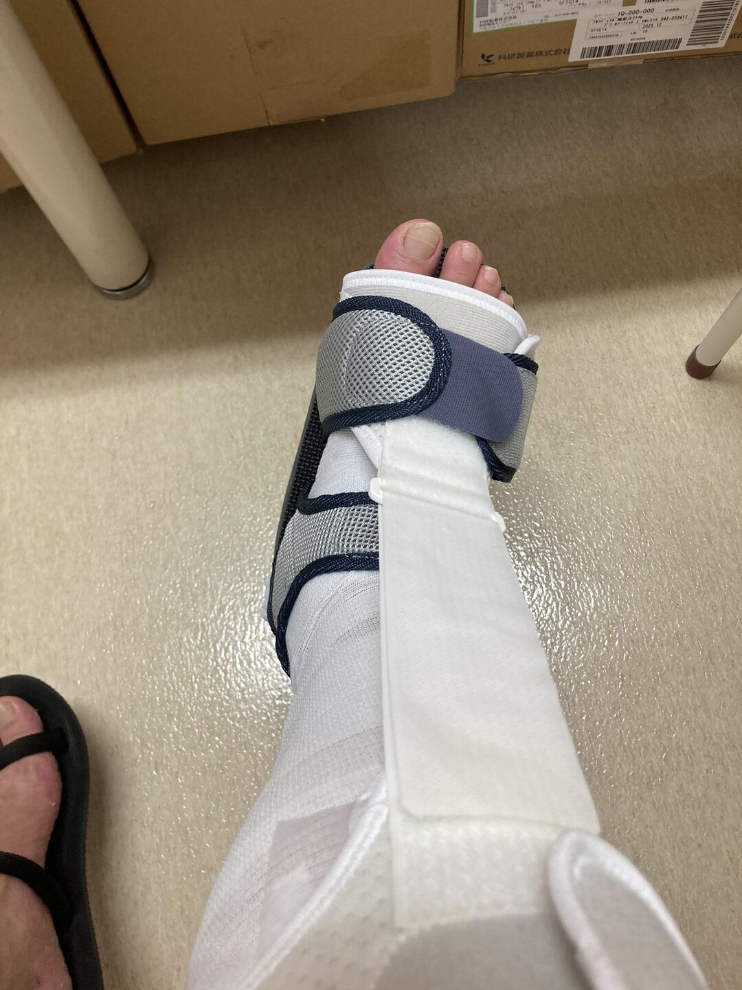 八経ヶ岳-2023-06-17 / try4さんの八経ヶ岳の活動データ | YAMAP / ヤマップ