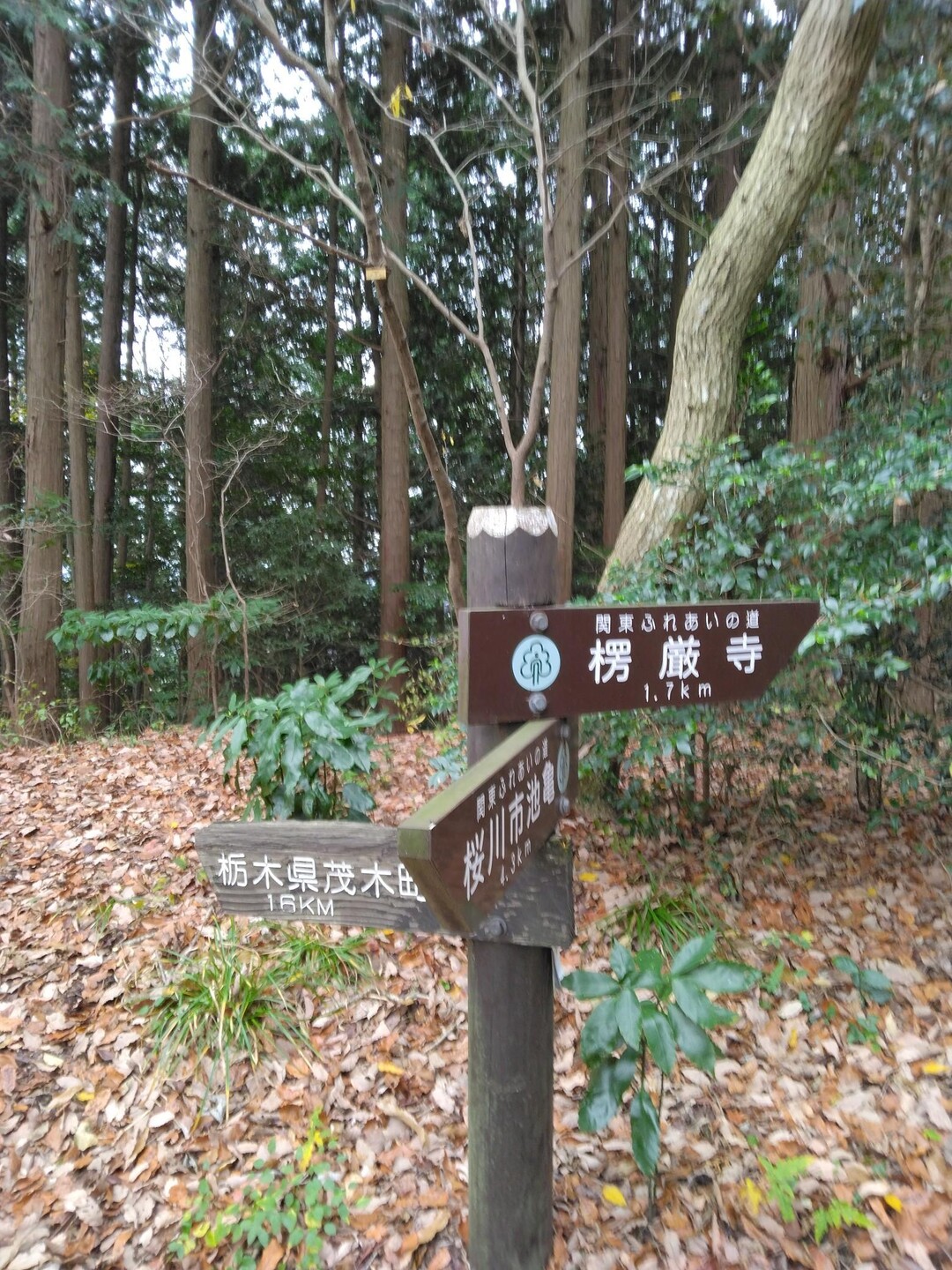 仏頂山・高峯 / ｼﾌﾞｼﾞｲｼﾞさんの高峯・仏頂山の活動データ | YAMAP / ヤマップ
