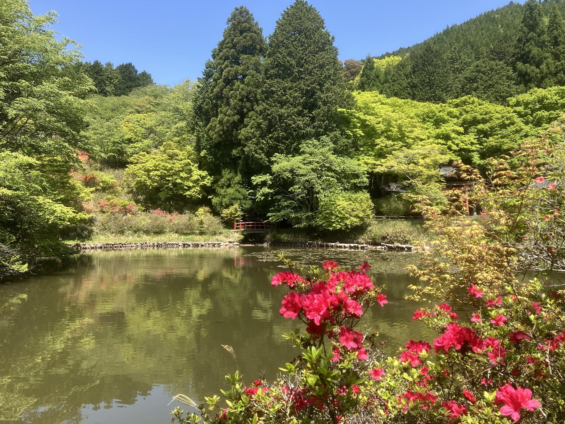 2025-05-05榛原から鳥見山展望台、長谷寺へ / JunJunさんの額井岳の活動データ | YAMAP / ヤマップ