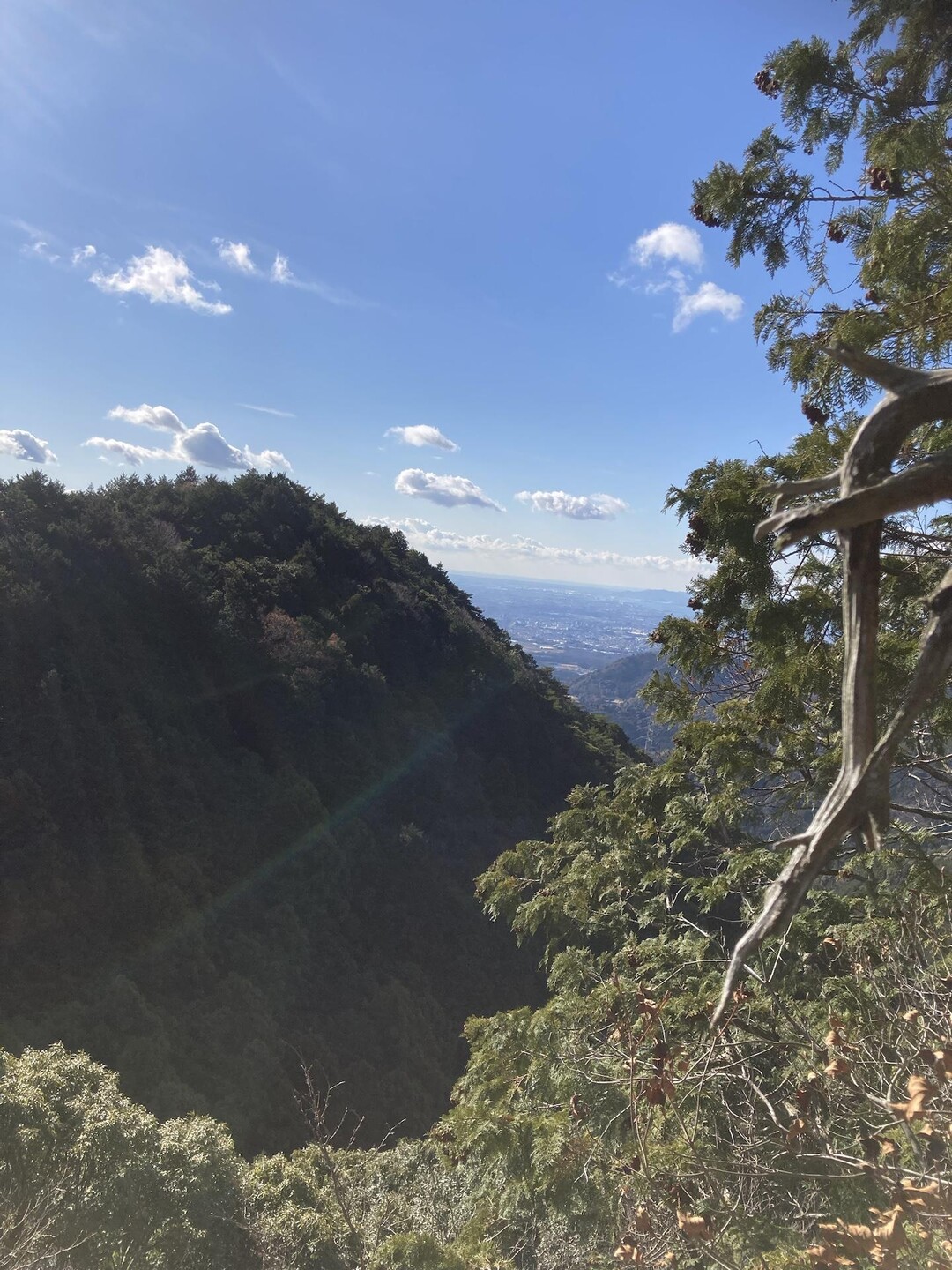 本宮山 えびす岩ルートファインディング / siriaさんの本宮山・大日山・風頭山の活動日記 | YAMAP / ヤマップ