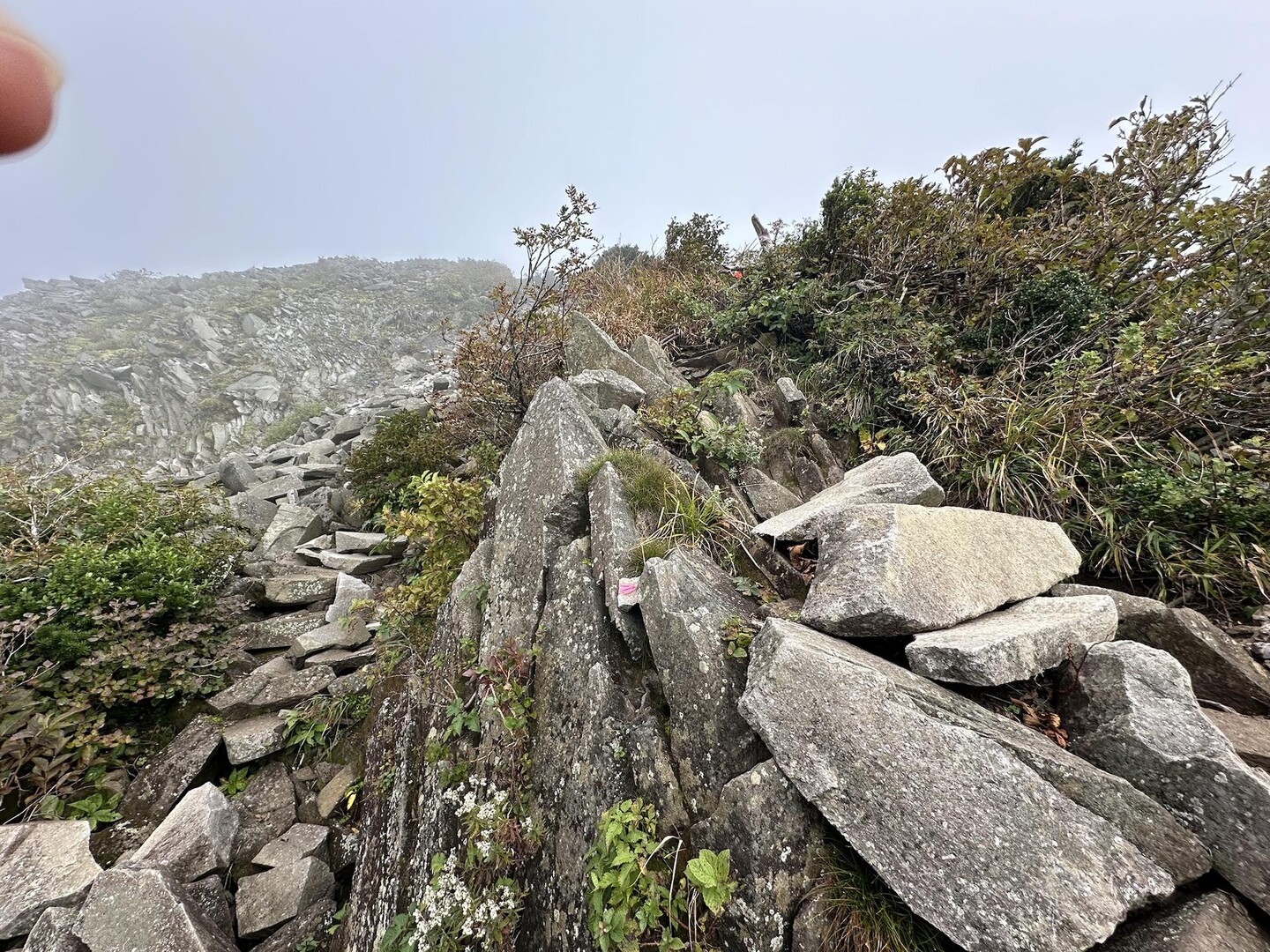 sachi_lehuaさんの投稿したフィールドメモ | YAMAP / ヤマップ