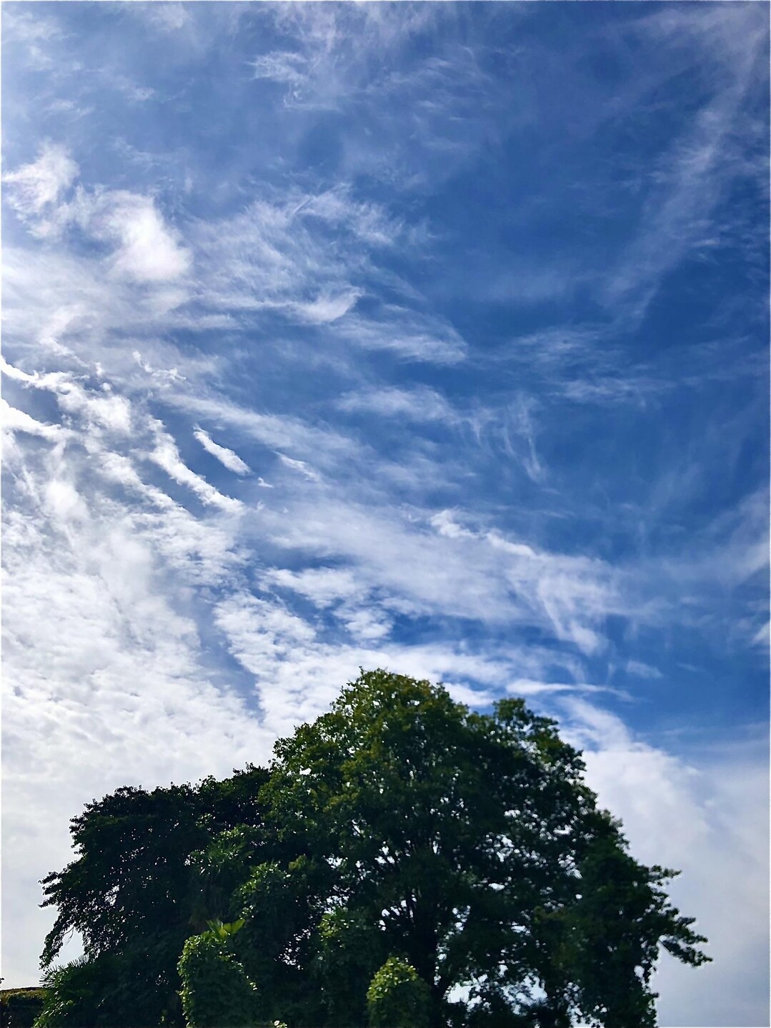 🏃‍♂️💨盛りだくさんの週末山トレ22k兎走山・芥見権現山・前どんぐり山・各務原権現山・北山😈 / tataさんの各務原アルプス（関南アルプス）・八木三山の活動データ | YAMAP / ヤマップ