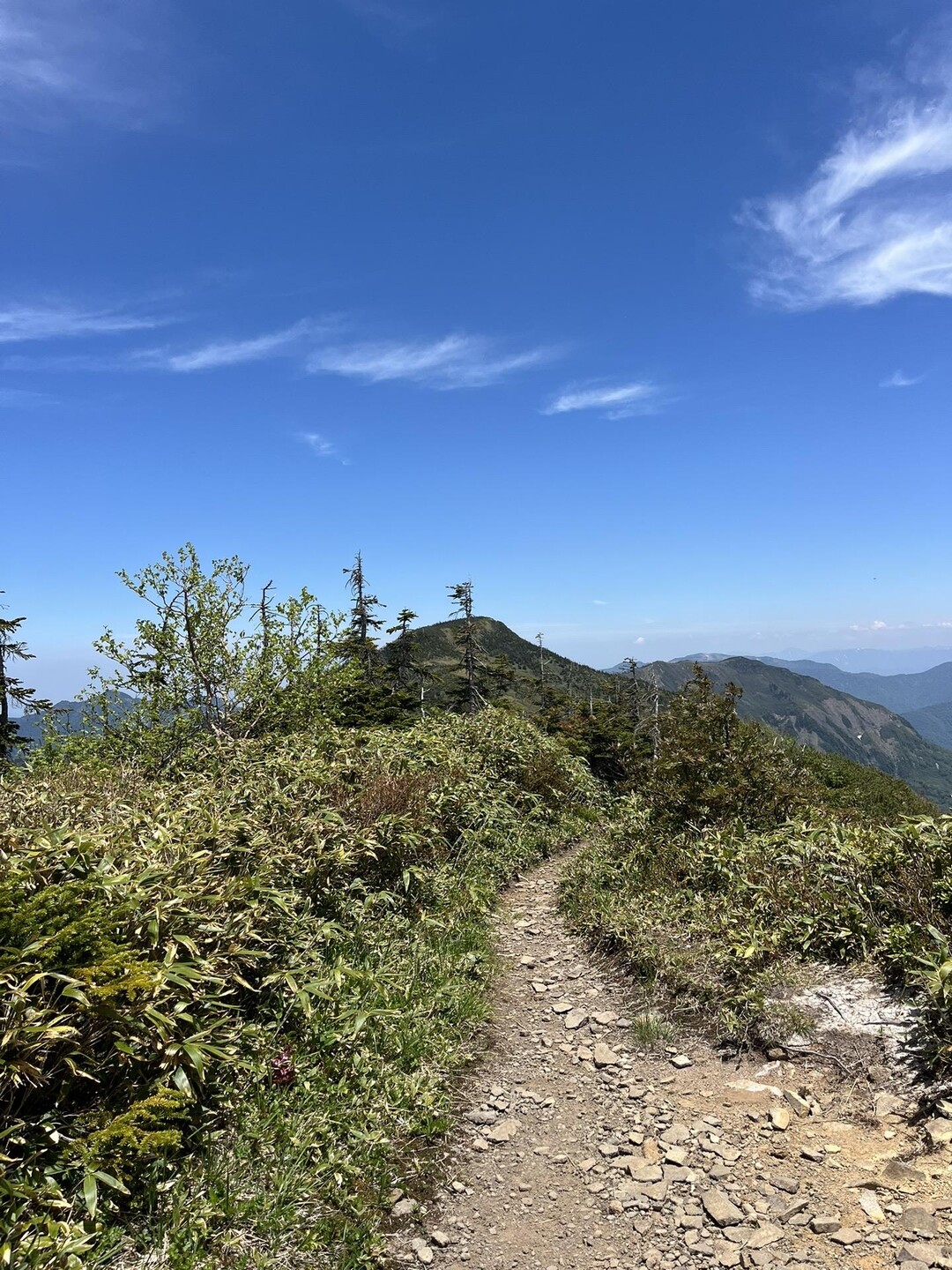 ちょっくら裏岩菅まで行ってくるわ😆 / whaleさんの岩菅山・寺小屋峰の活動データ | YAMAP / ヤマップ