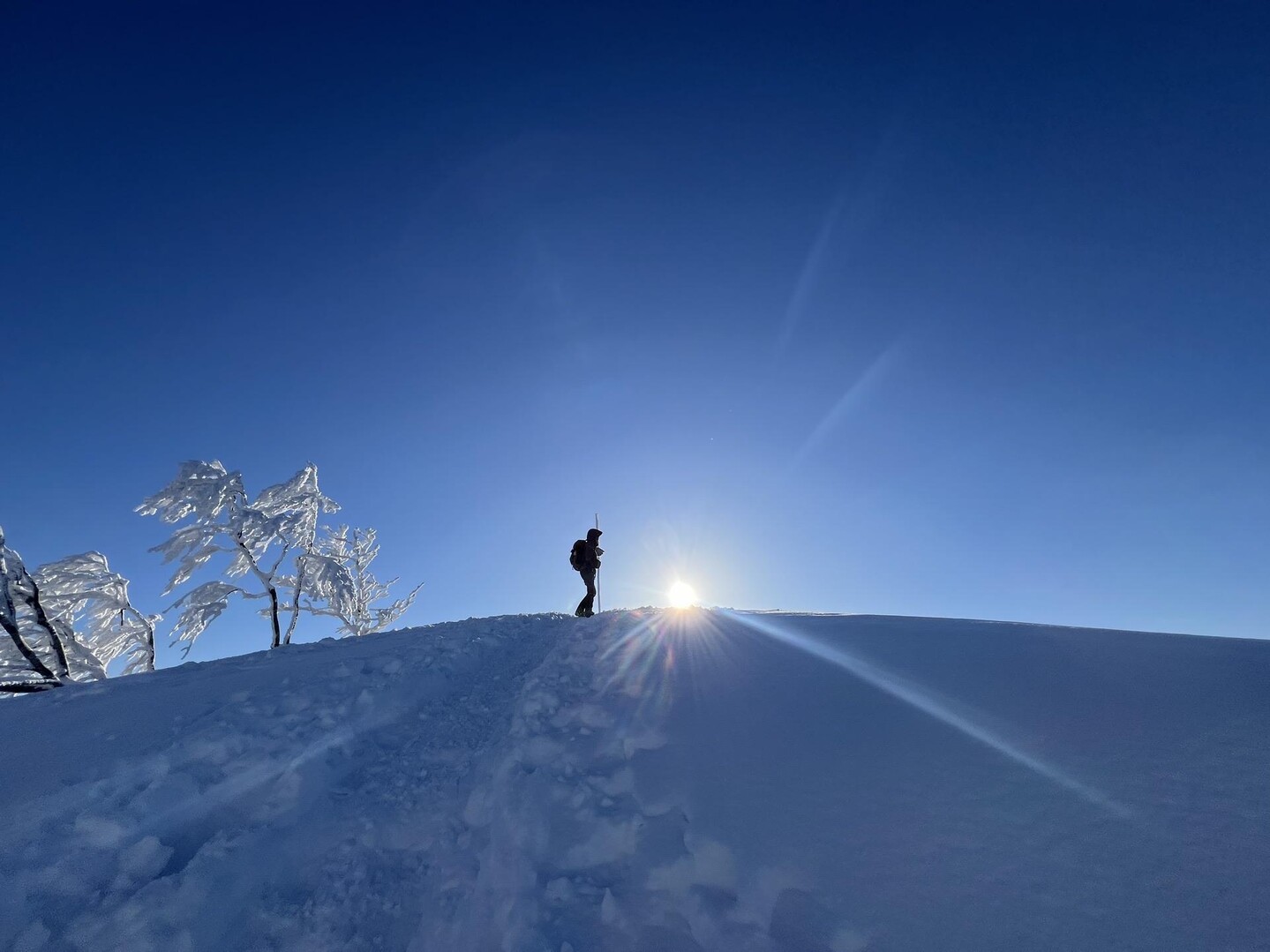 ごずBLUE💙のキラごずぅ ️ 五頭山ᨒ𖡼.𖤣𖥧 ℕ𝕠.3 / cocoさんの五頭山・菱ヶ岳・宝珠山の活動データ | YAMAP / ヤマップ