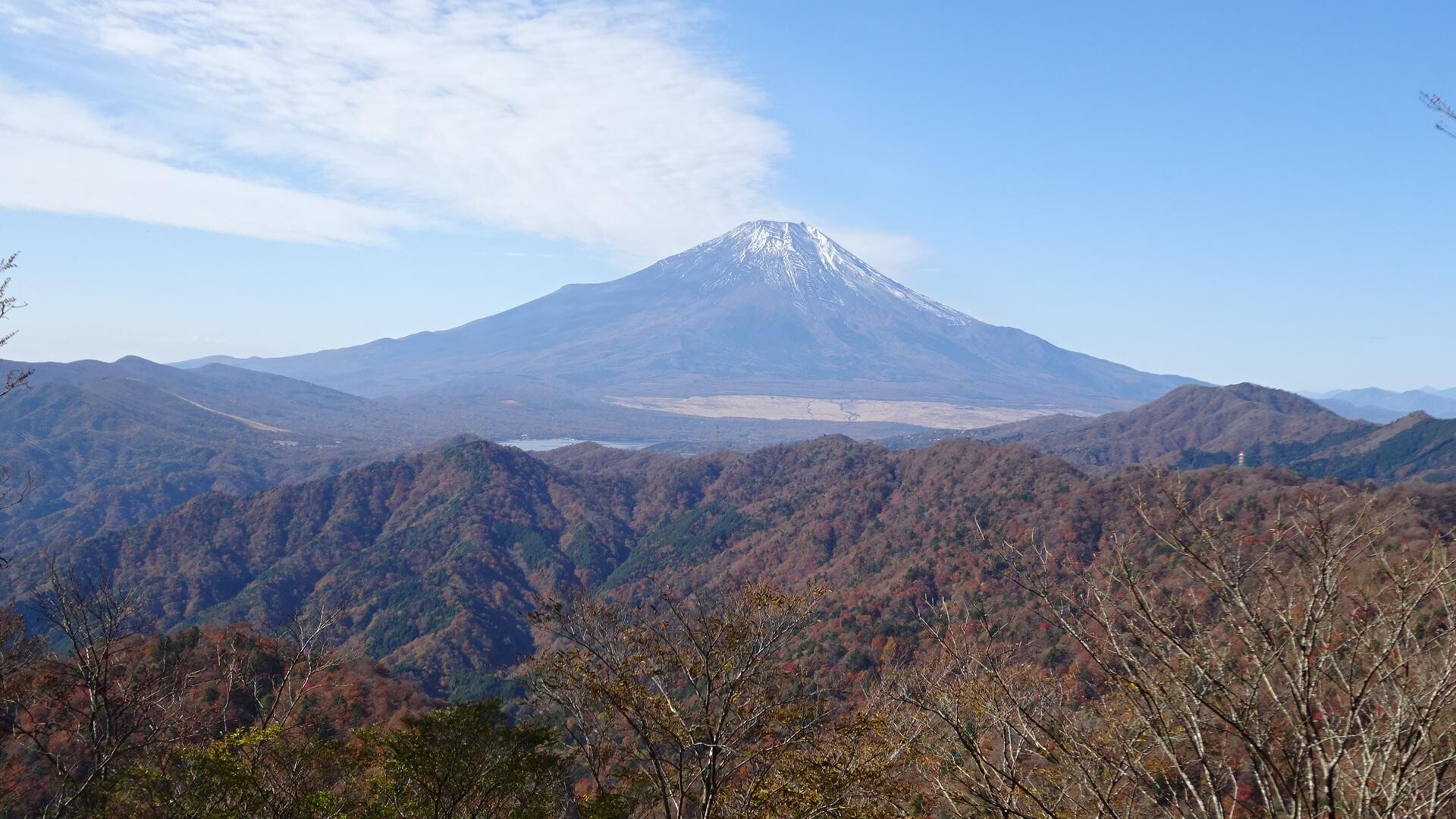 甲相国境尾根縦走 今日で丹沢主稜-甲相国境尾根を完踏😄 / yasuさんの大室山・畦ヶ丸山・菰釣山の活動データ | YAMAP / ヤマップ