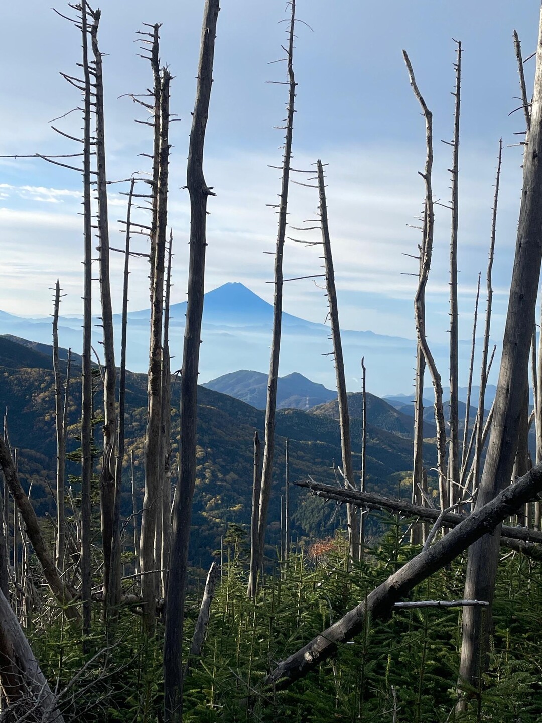西沢渓谷→甲武信ヶ岳→国師ヶ岳→大弛⇔金峰山 / Shoji-nさんの甲武信ヶ岳の活動データ | YAMAP / ヤマップ
