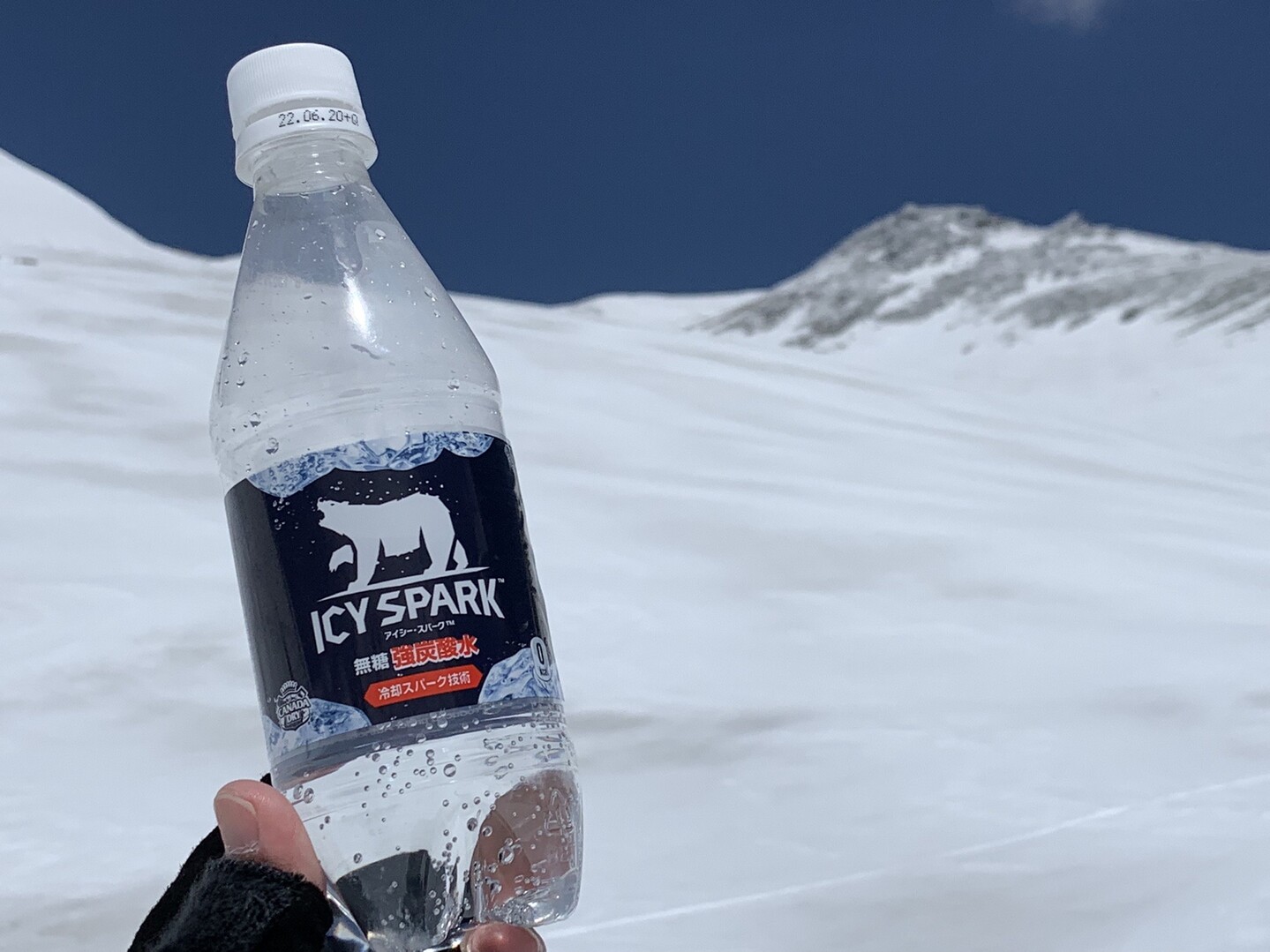 お疲れちゃん♫で安足間岳BC / bono.さんの大雪山系・旭岳・トムラウシの活動データ | YAMAP / ヤマップ